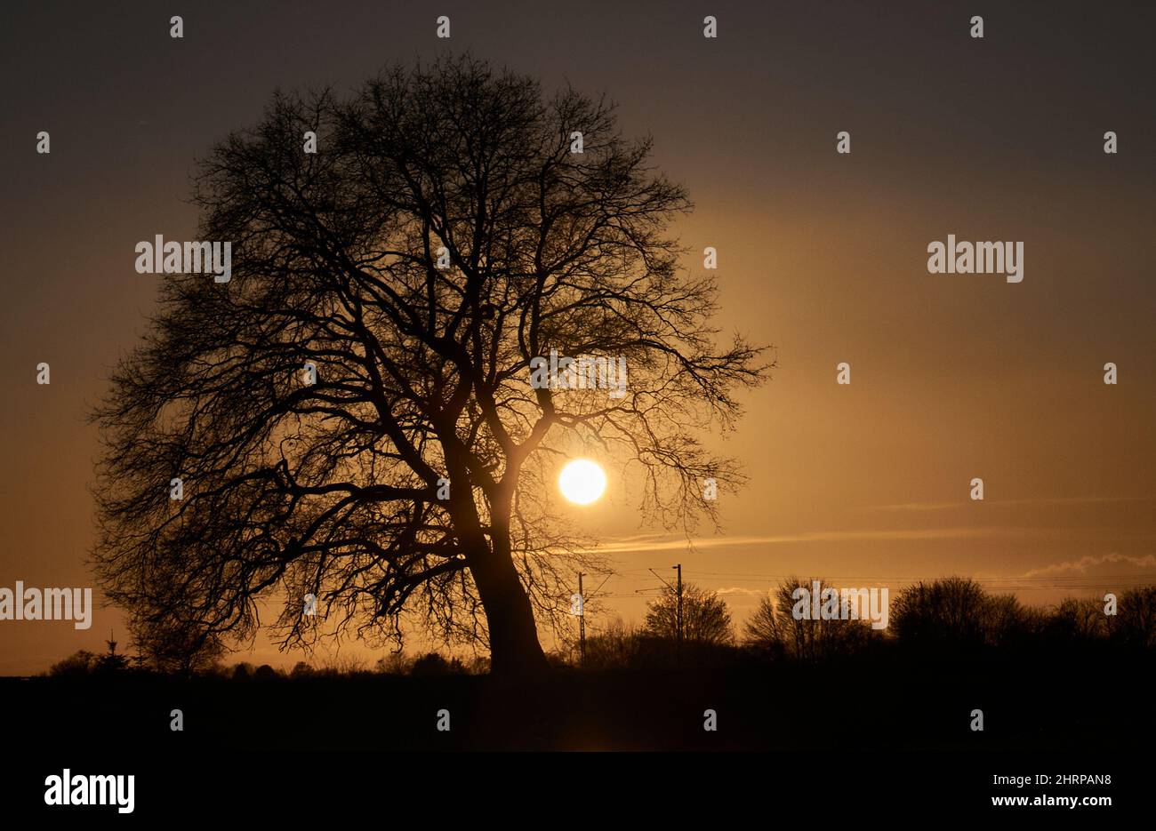 Bared hi-res stock photography and images - Alamy