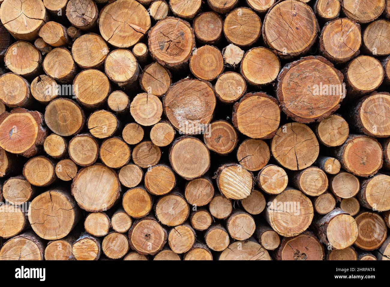 Pile of logs stacked on top of each other Stock Photo - Alamy