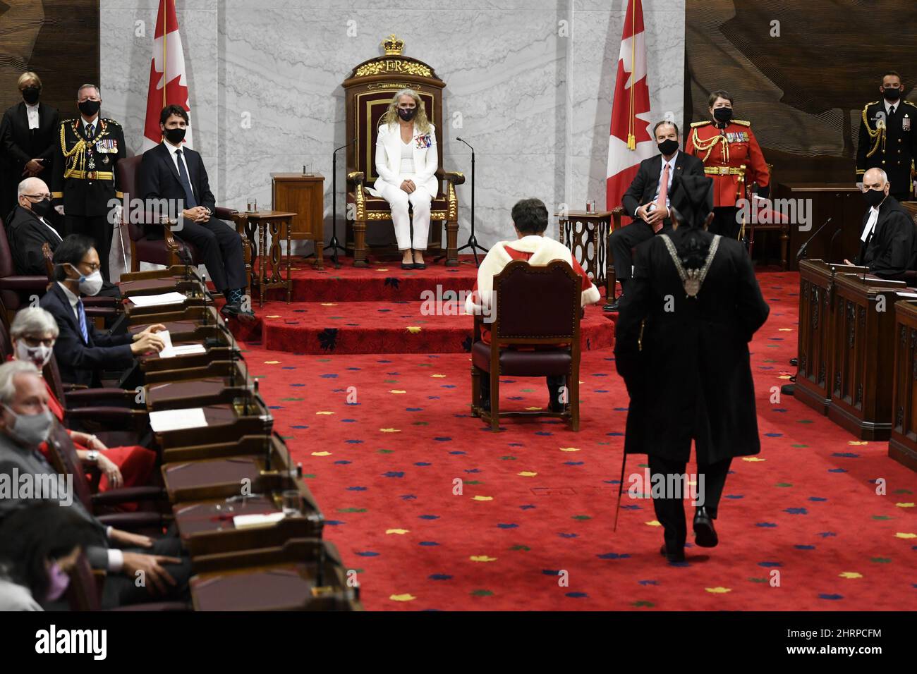 Canadian gold rod hi-res stock photography and images - Alamy