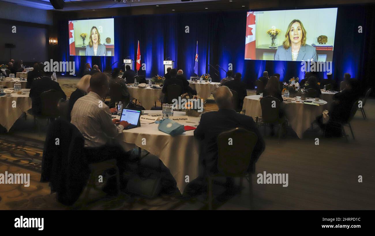 Canada's Ambassador to the United States Kirsten Hillman speaks via ...