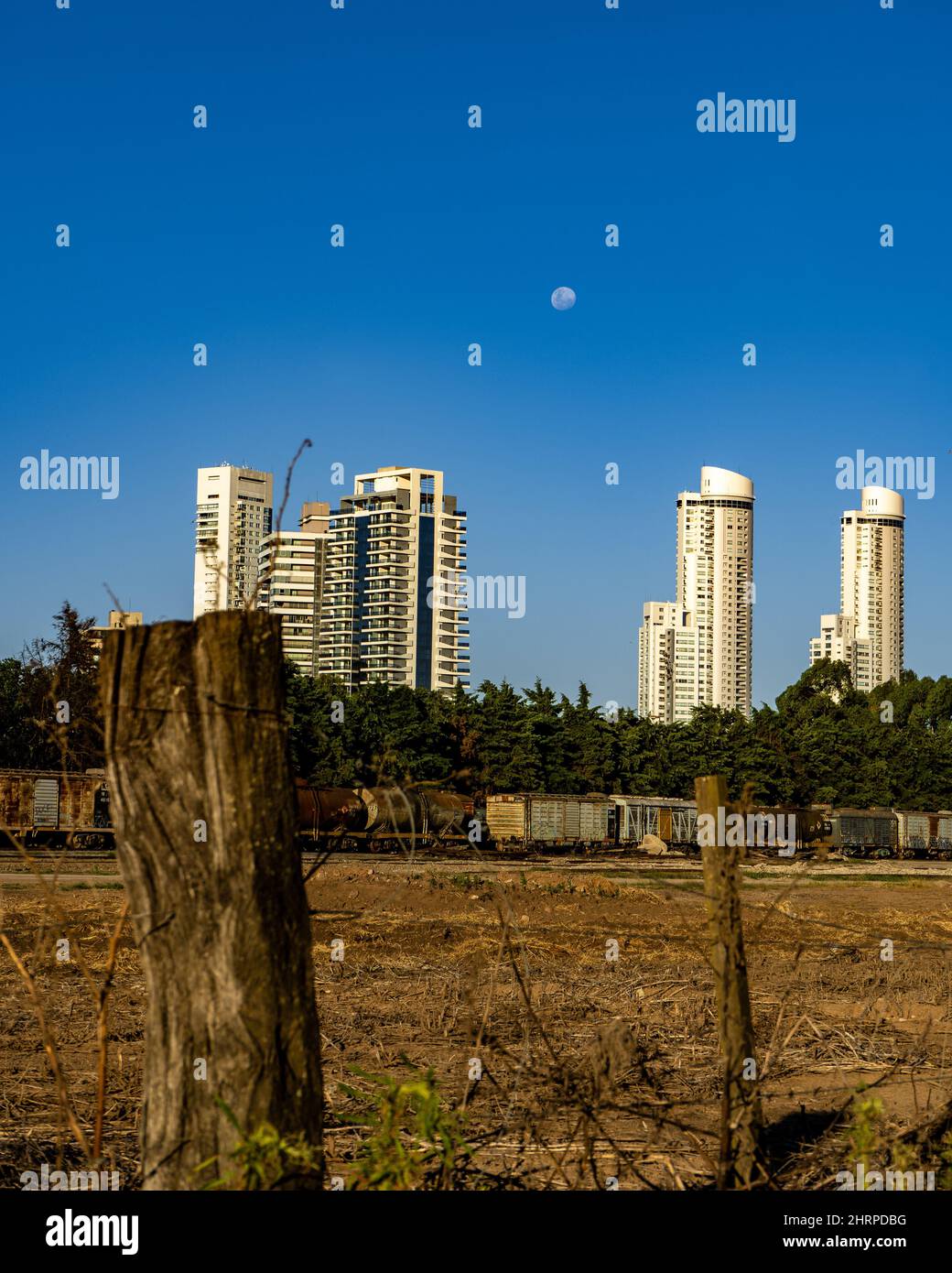 Modern high-rise buildings surrounded by dense trees and railways in ...