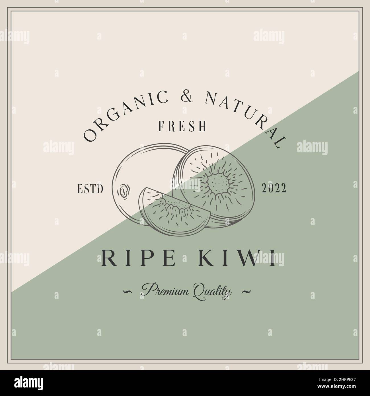 Kiwi Fruit Label Template. Abstract Vector Packaging Design Layout ...