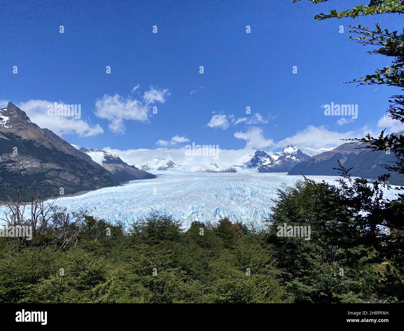 Perito Moreno Glacier at National Park, Argentinian Patagonia Stock ...