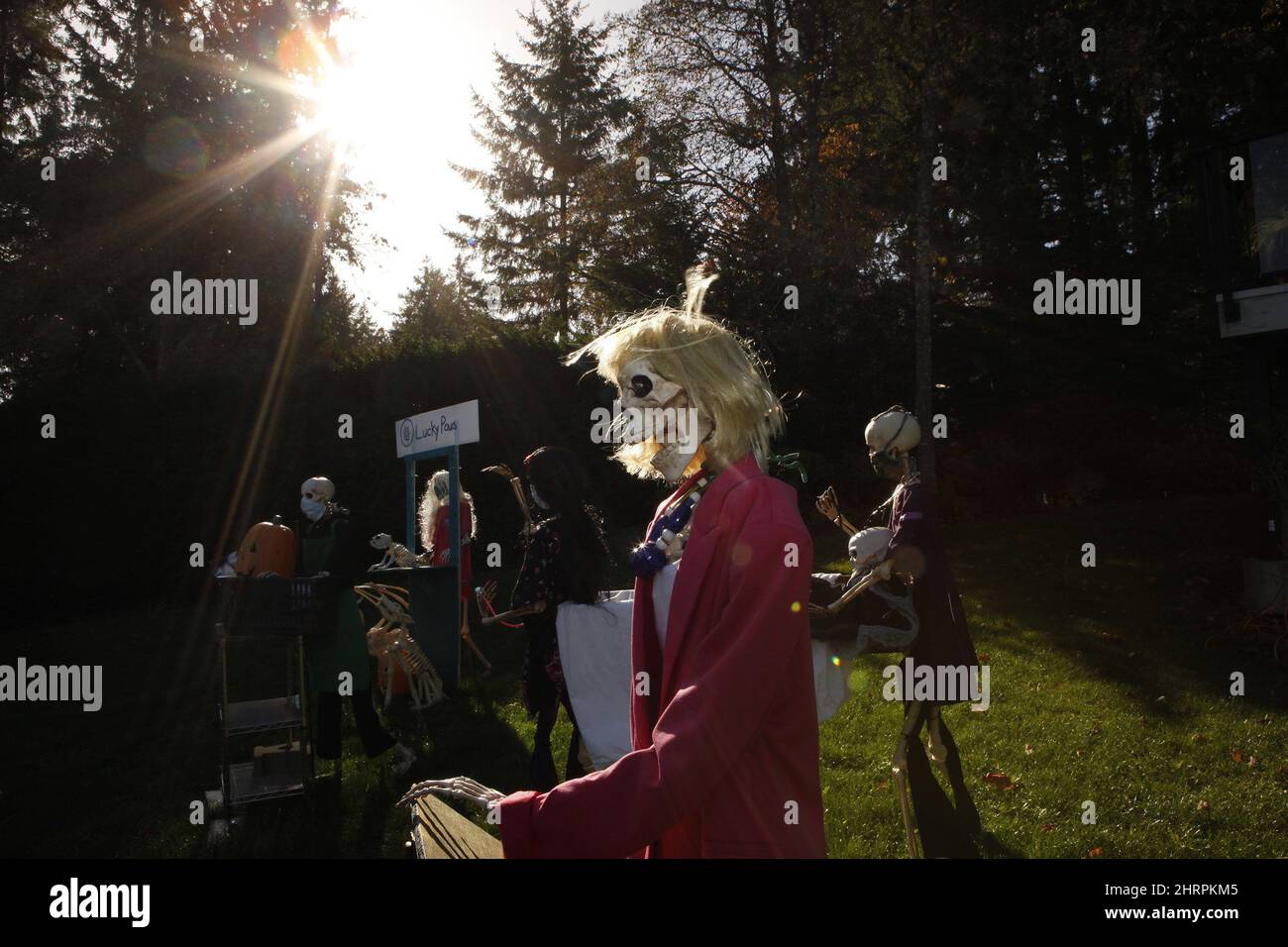 Homeowner Stephanie Roy, (not pictured), pays tribute to Provincial ...