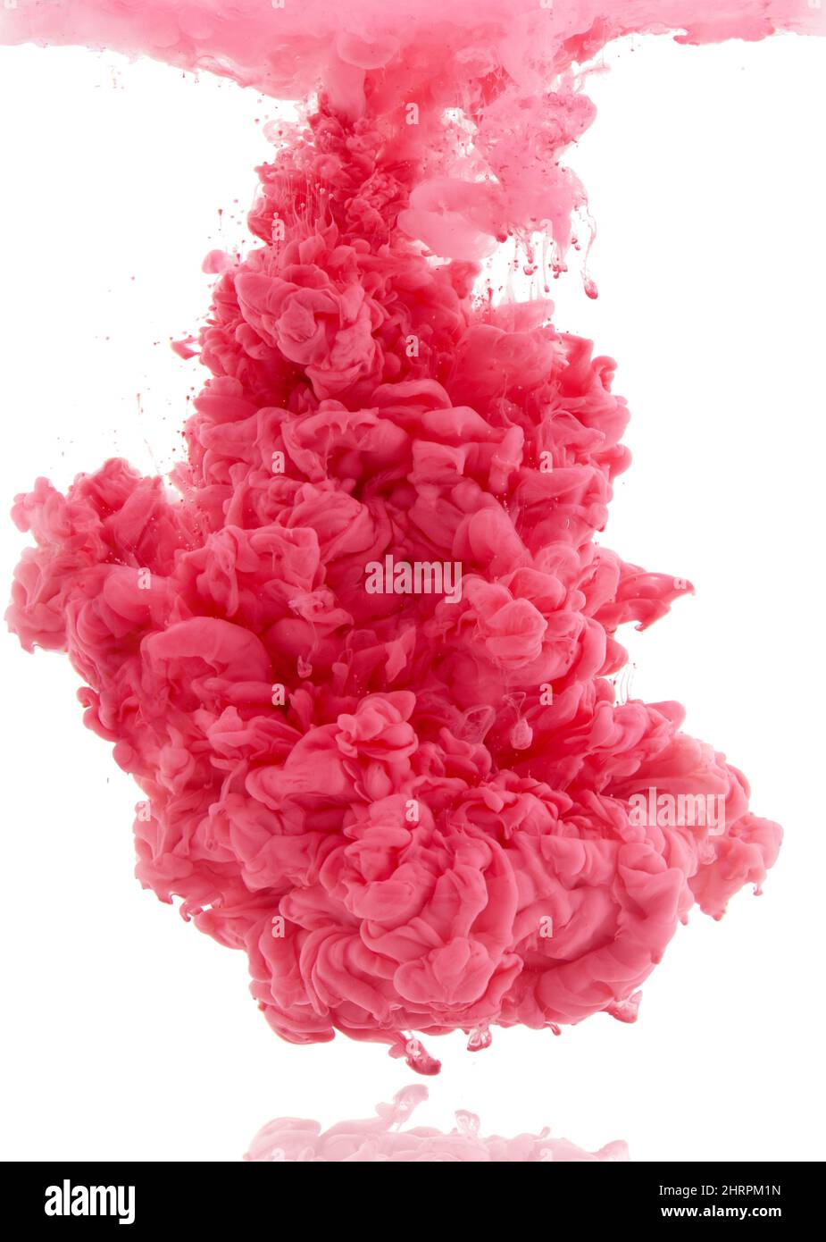 Colorful explosion. Studio shot of pink ink in water against a white ...