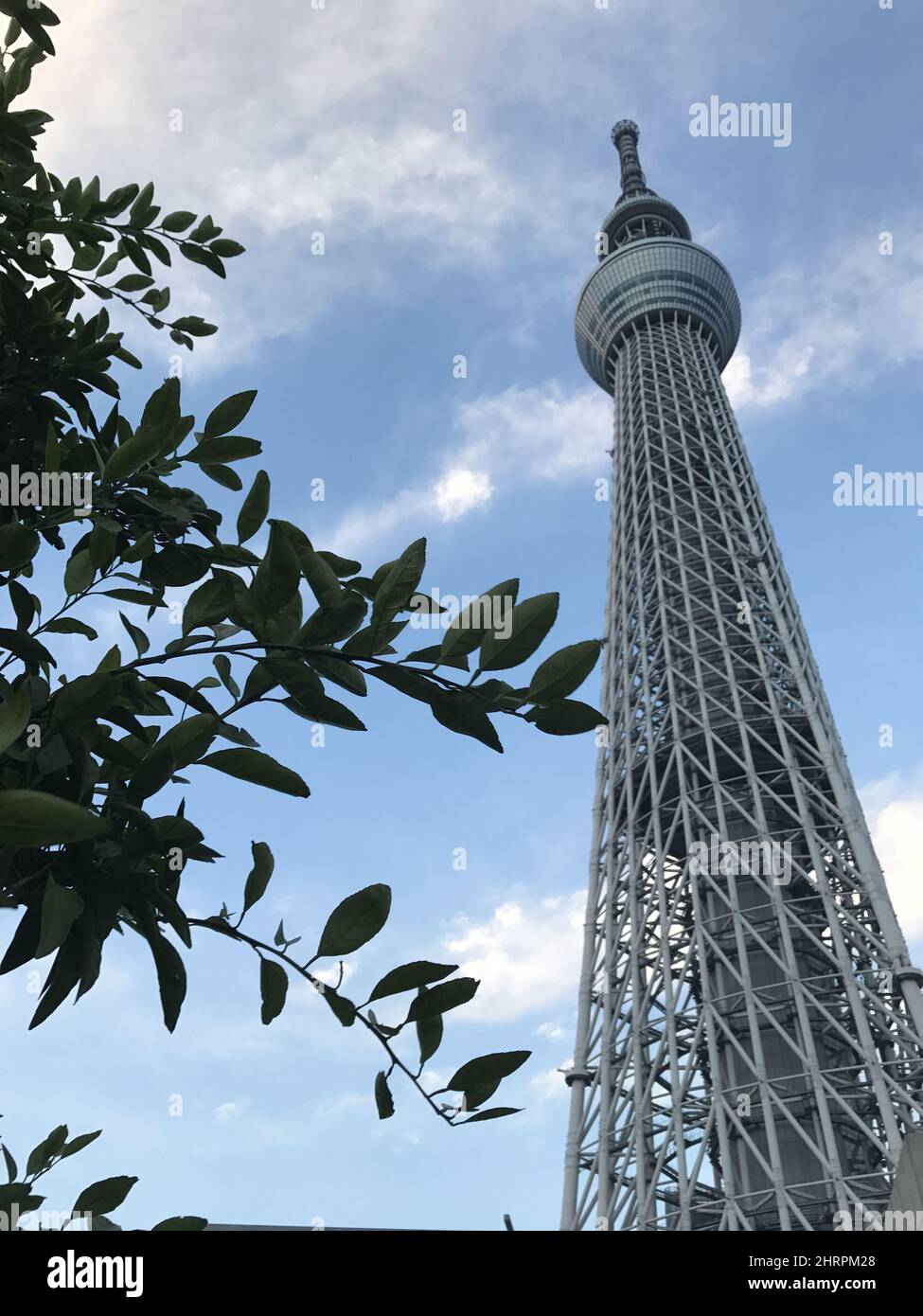 Low angle of Tokyo Skytree Stock Photo - Alamy