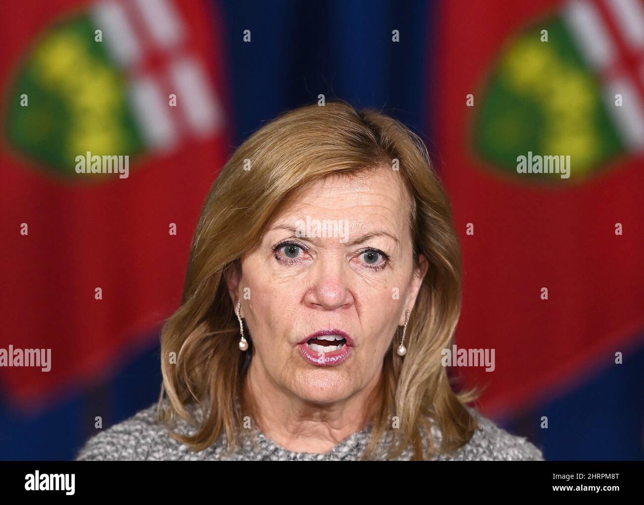 Ontario Health Minister Christine Elliott speaks at a press conference ...