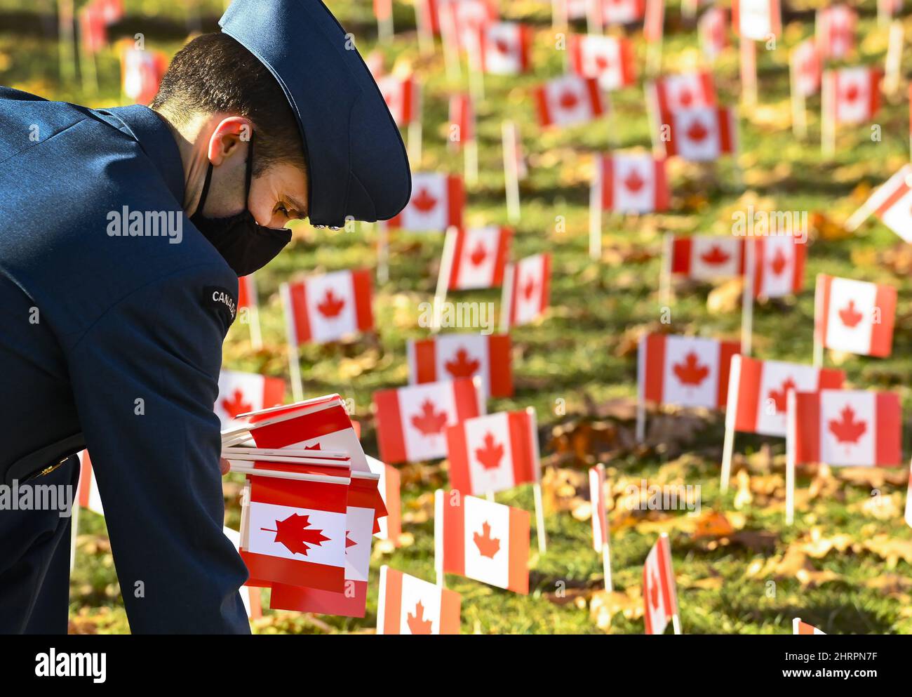 A Canadian service man places Canadian flags among the 37,500 flags on ...