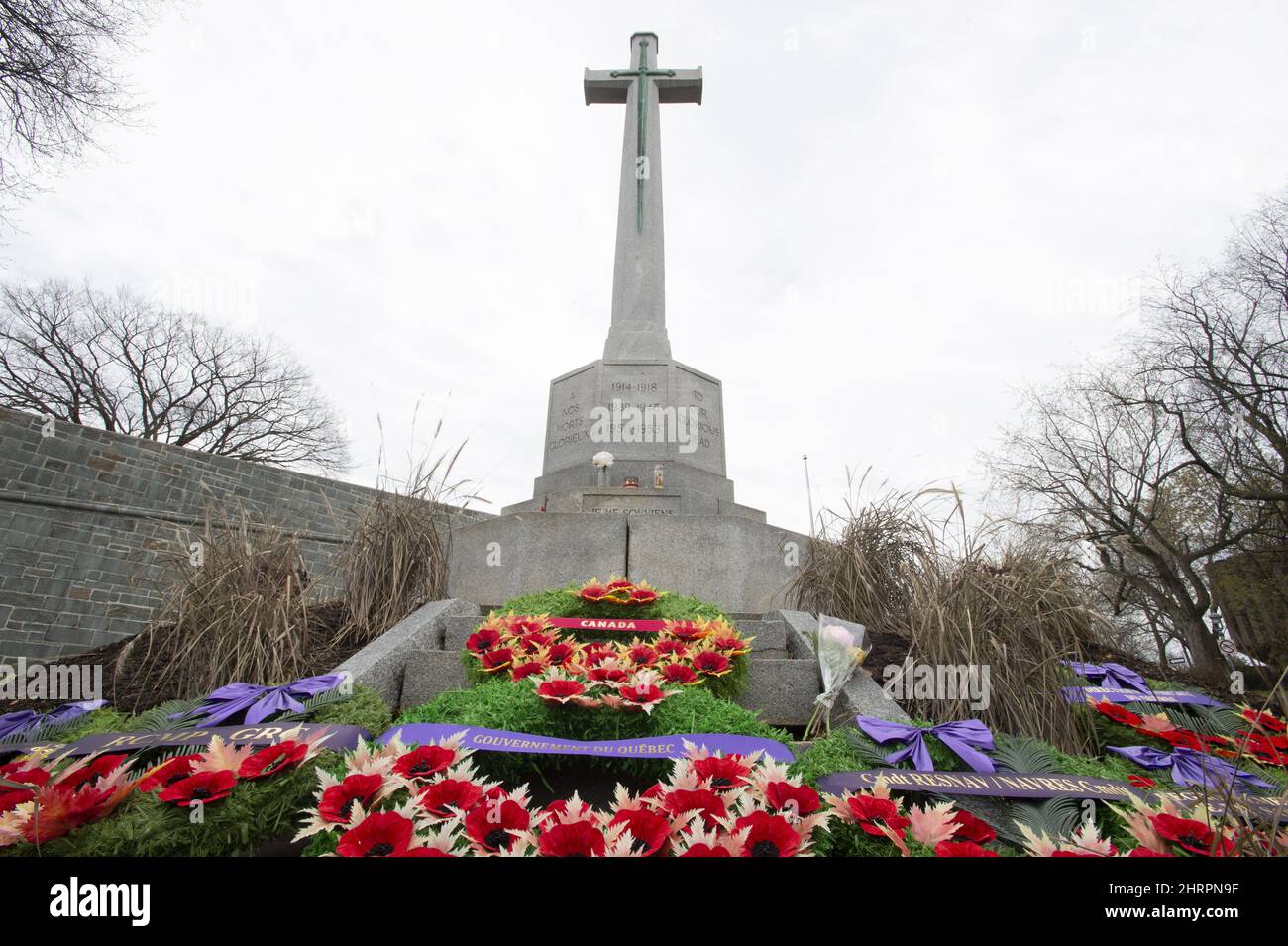 Wreaths of flowers lay at the Cenotaph during Remembrance Day ...