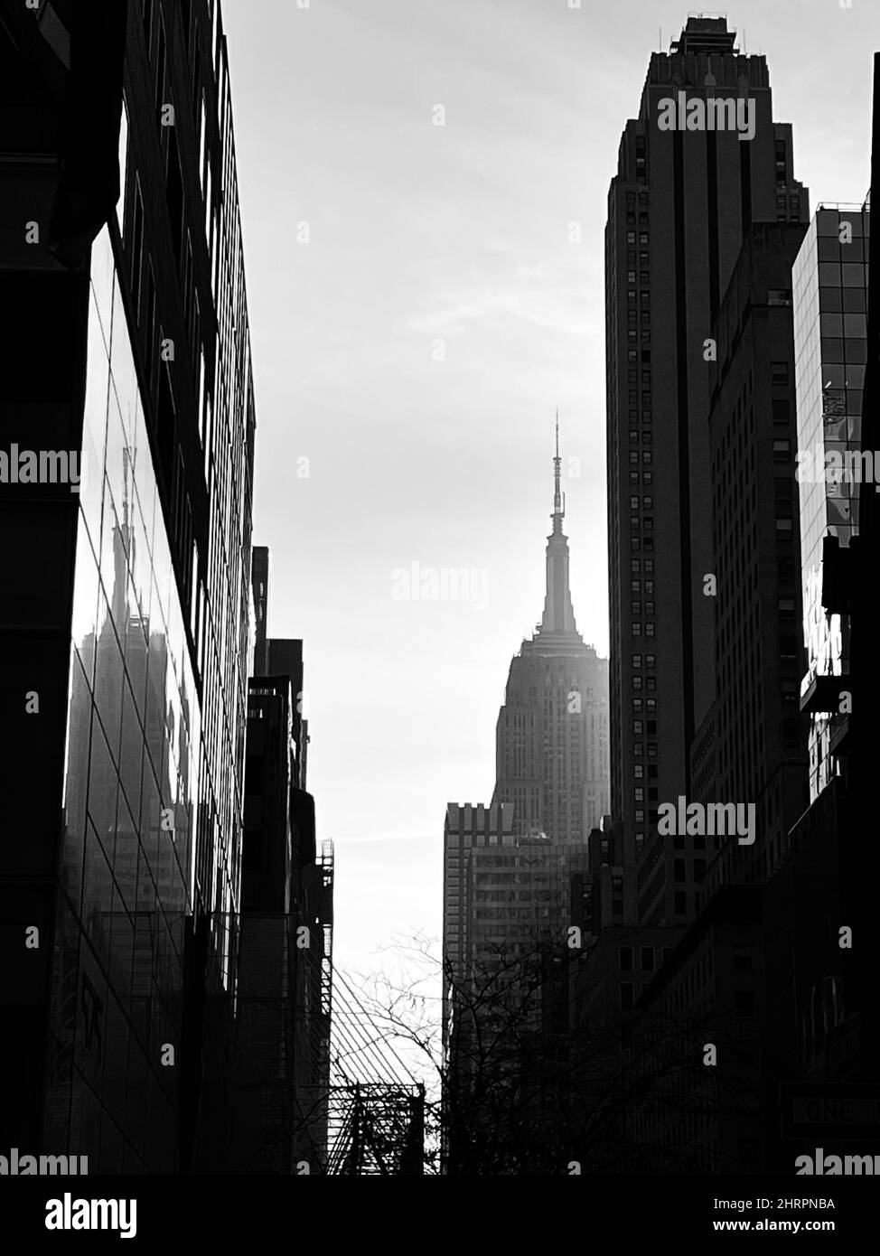 Grayscale of modern city buildings Stock Photo - Alamy