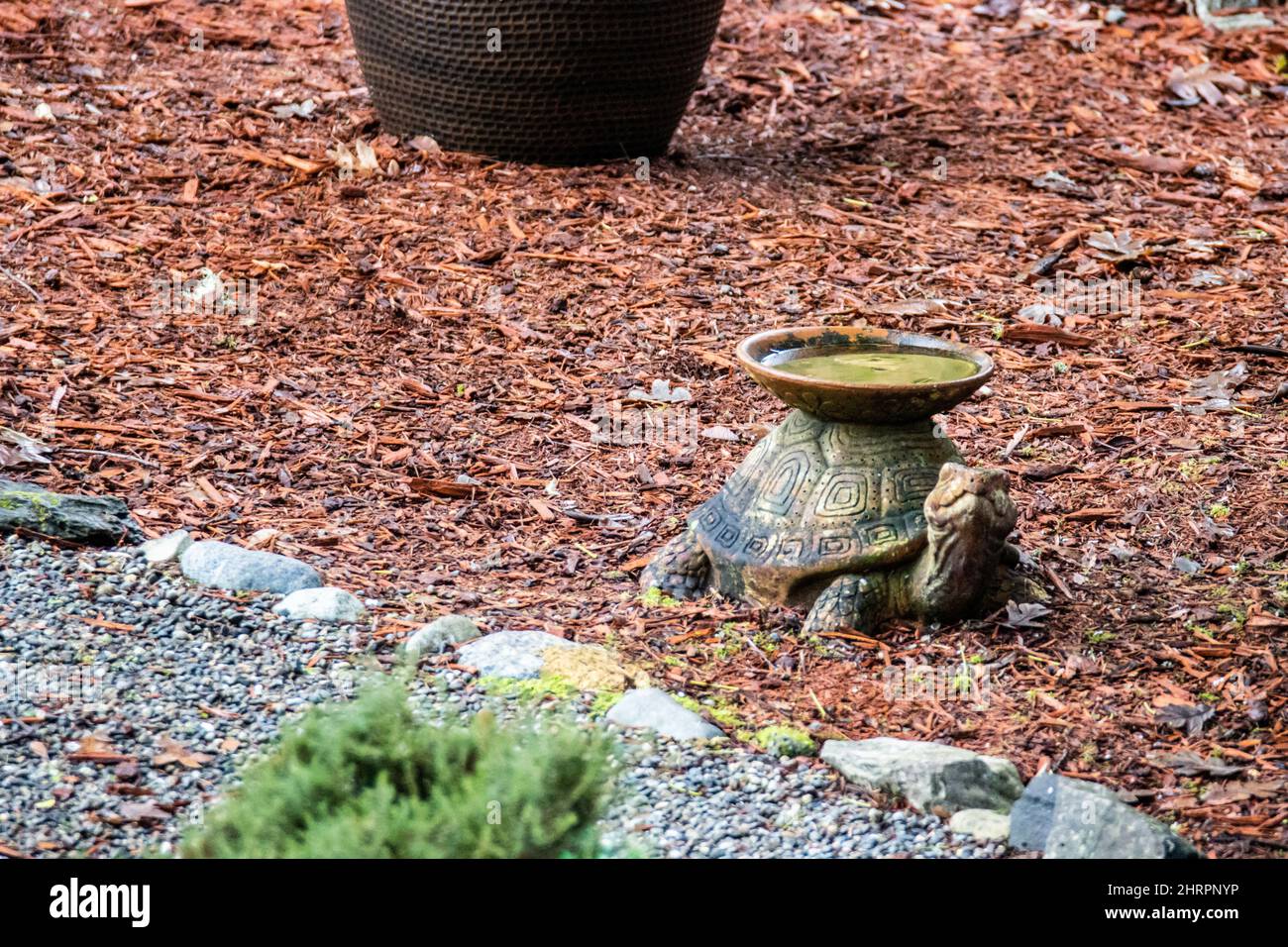 Decorative turtle with a bowl on its shell is placed in the garden ...