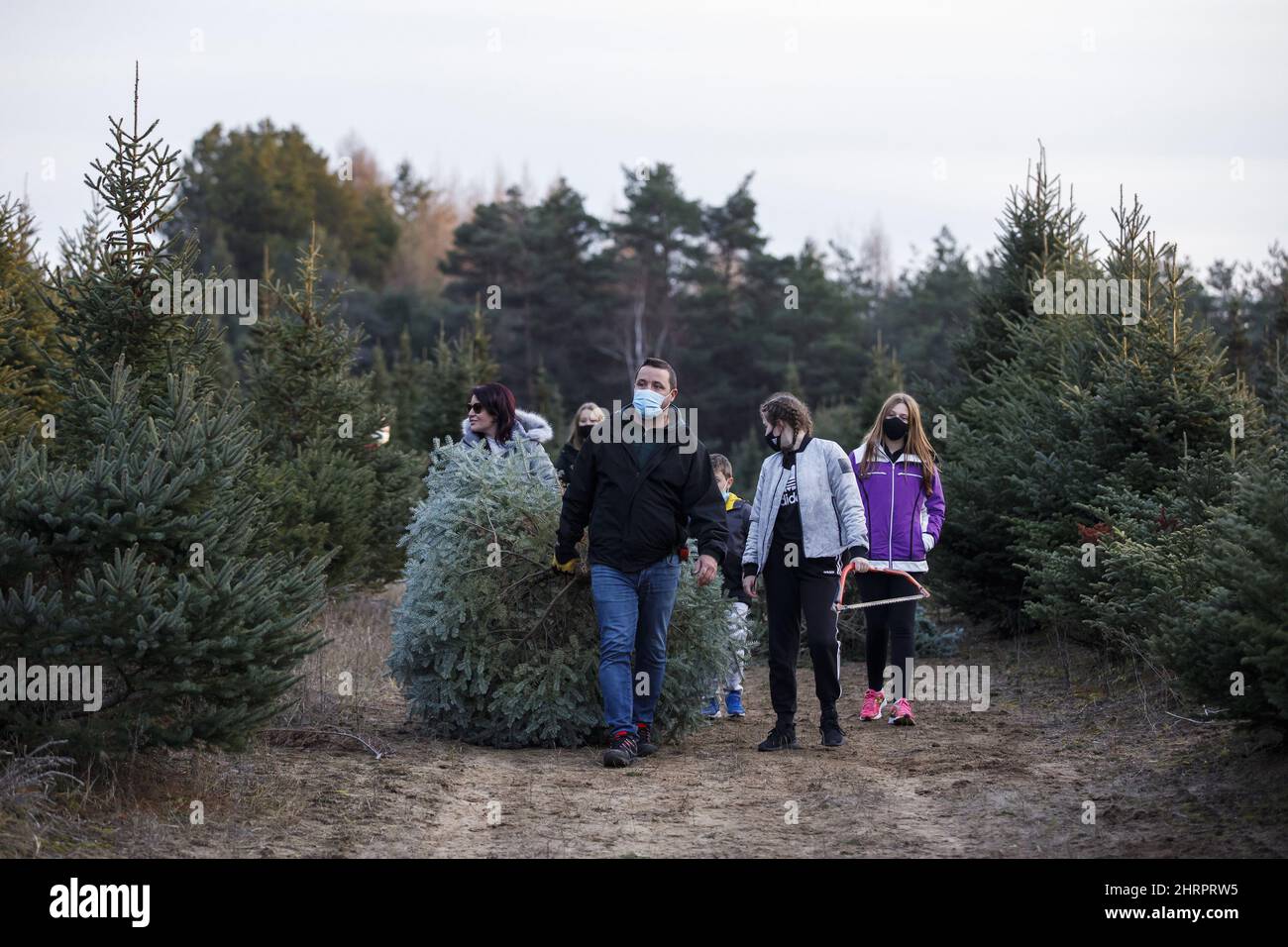 Ash Van walks alongside his family as he carries a freshly cut ...