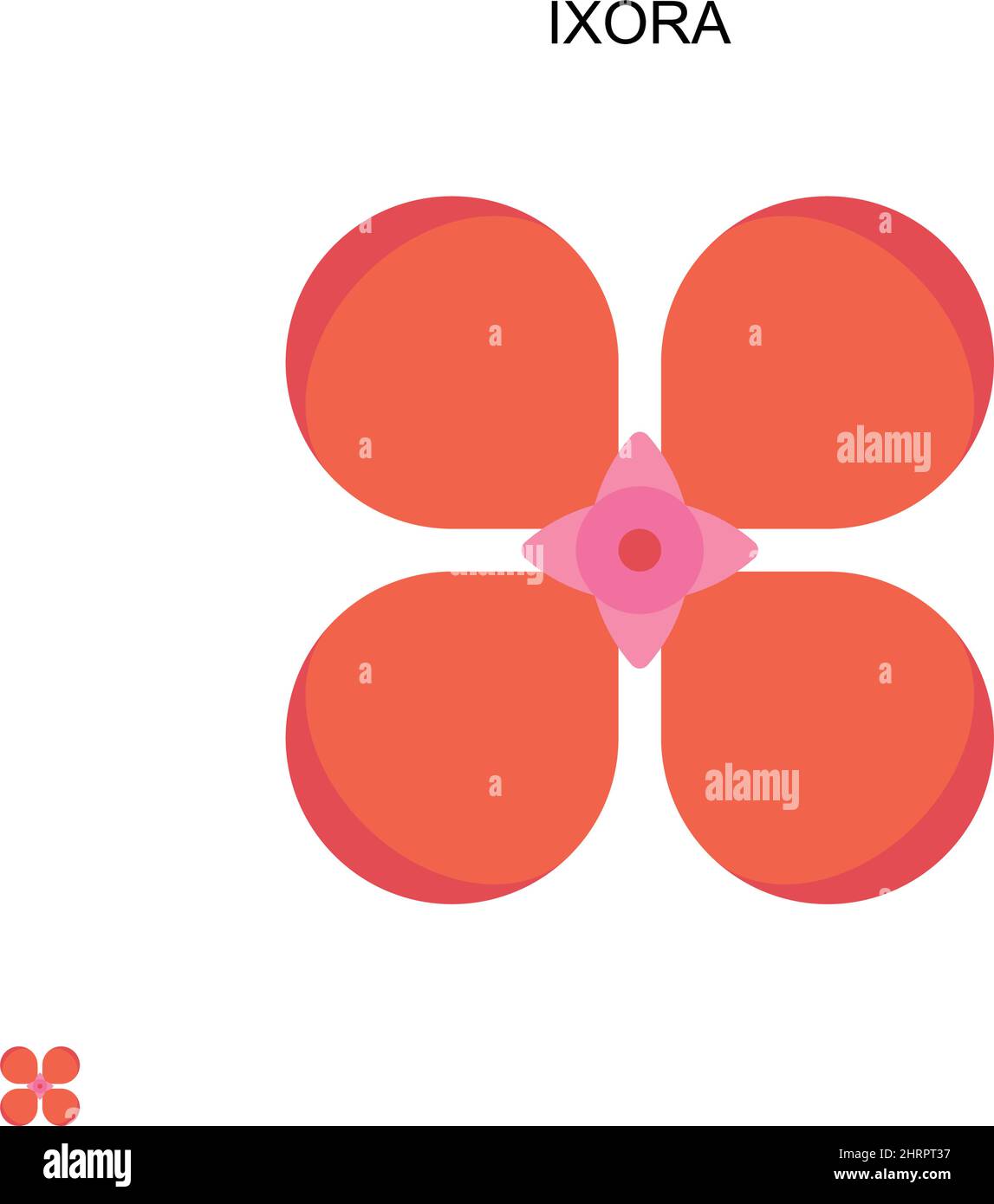 Ixora chinensis Stock Vector Images - Alamy