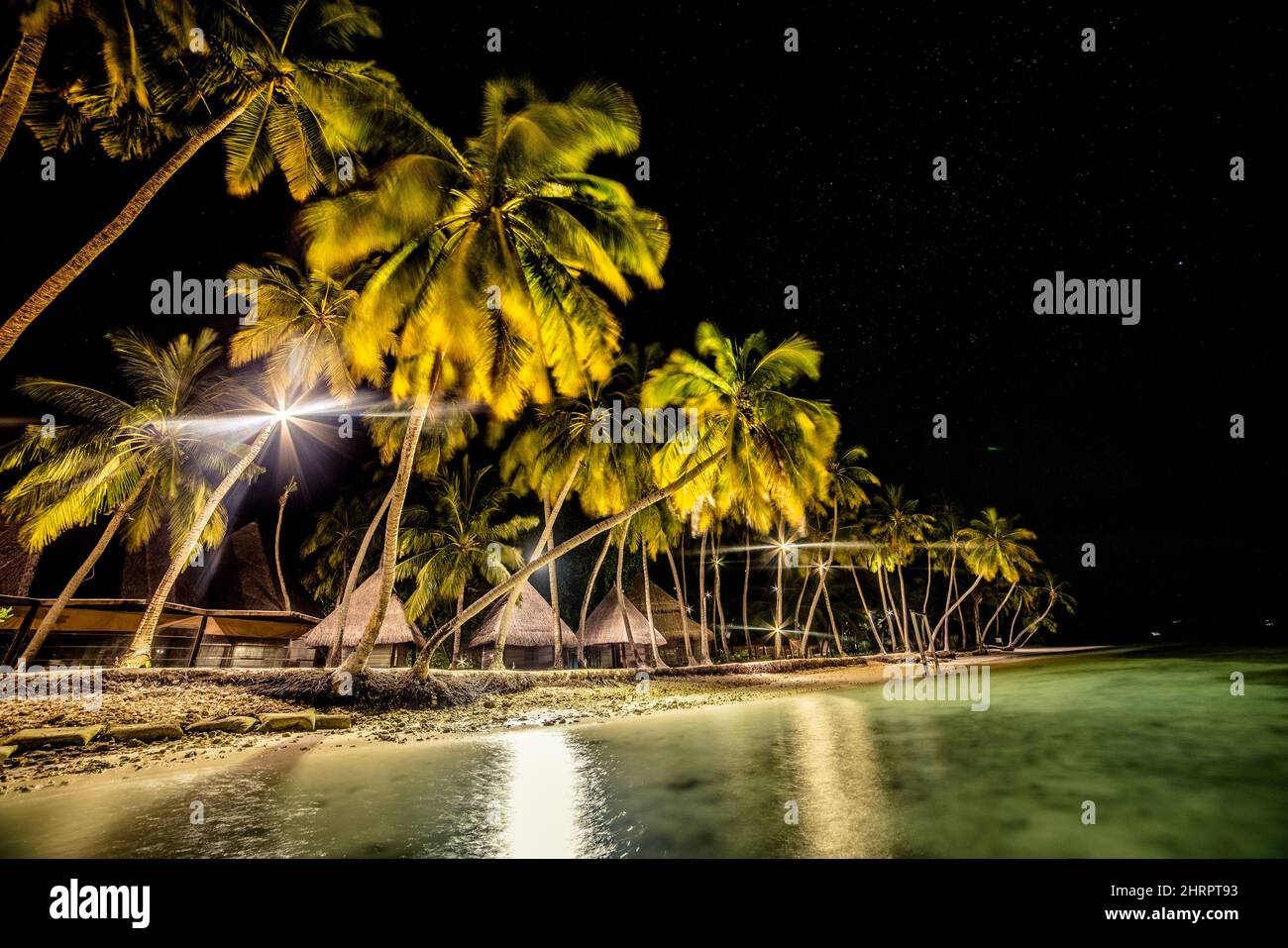 Beautiful view of tropical palm trees on the seacoast at night Stock ...
