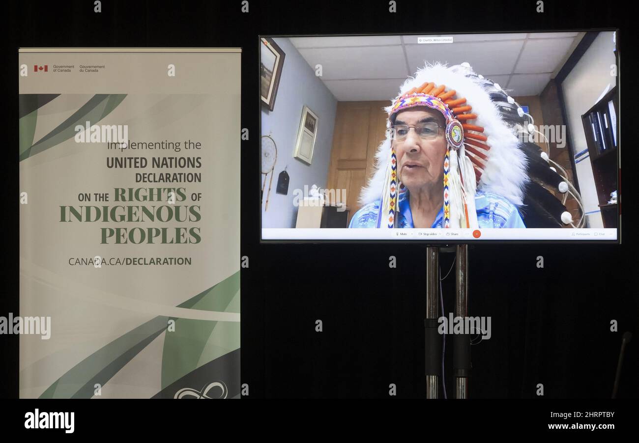 Grand Chief Wilton Littlechild speaks via video conference during an ...