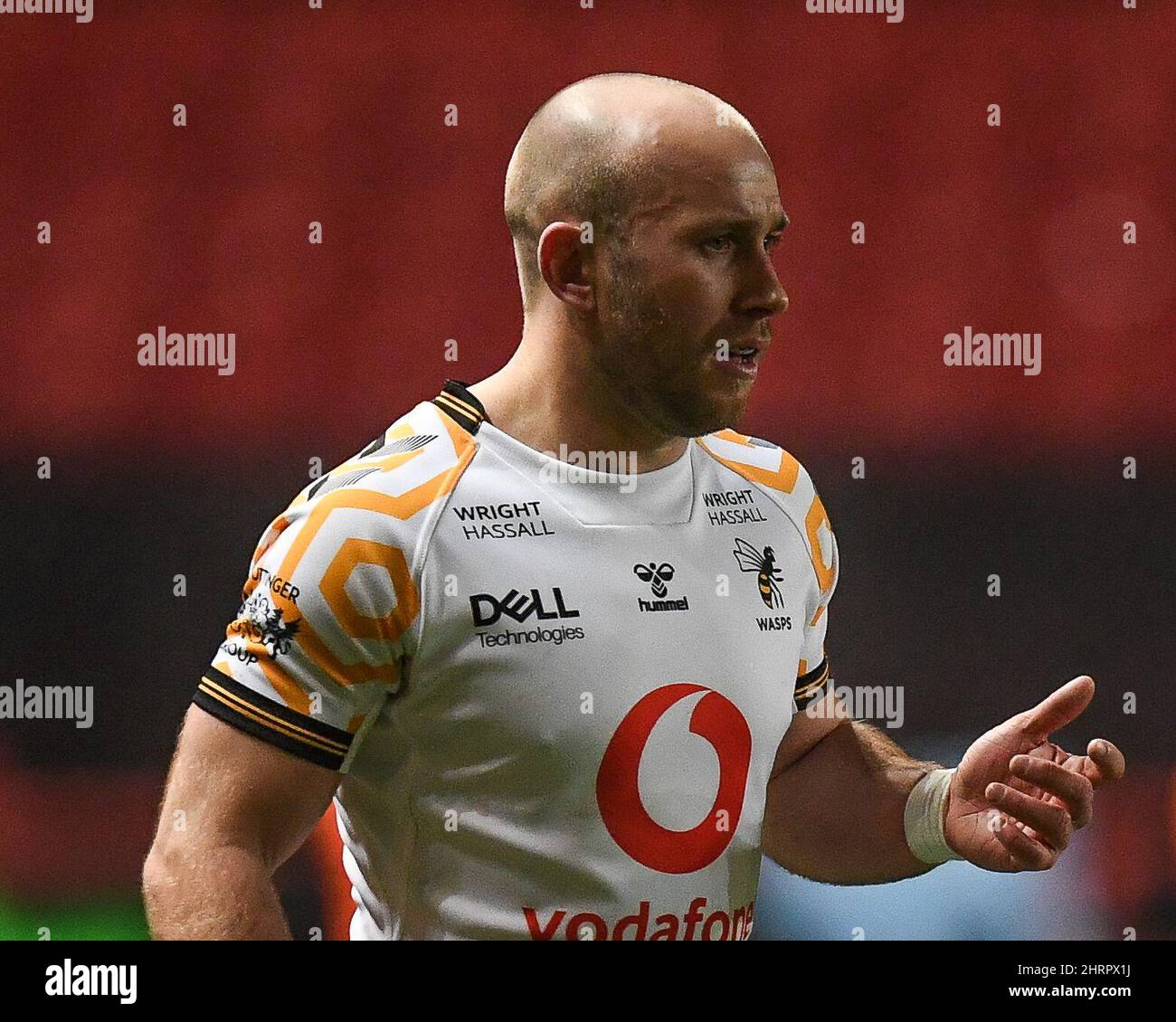 Dan robson wasps 2022 hi-res stock photography and images - Alamy