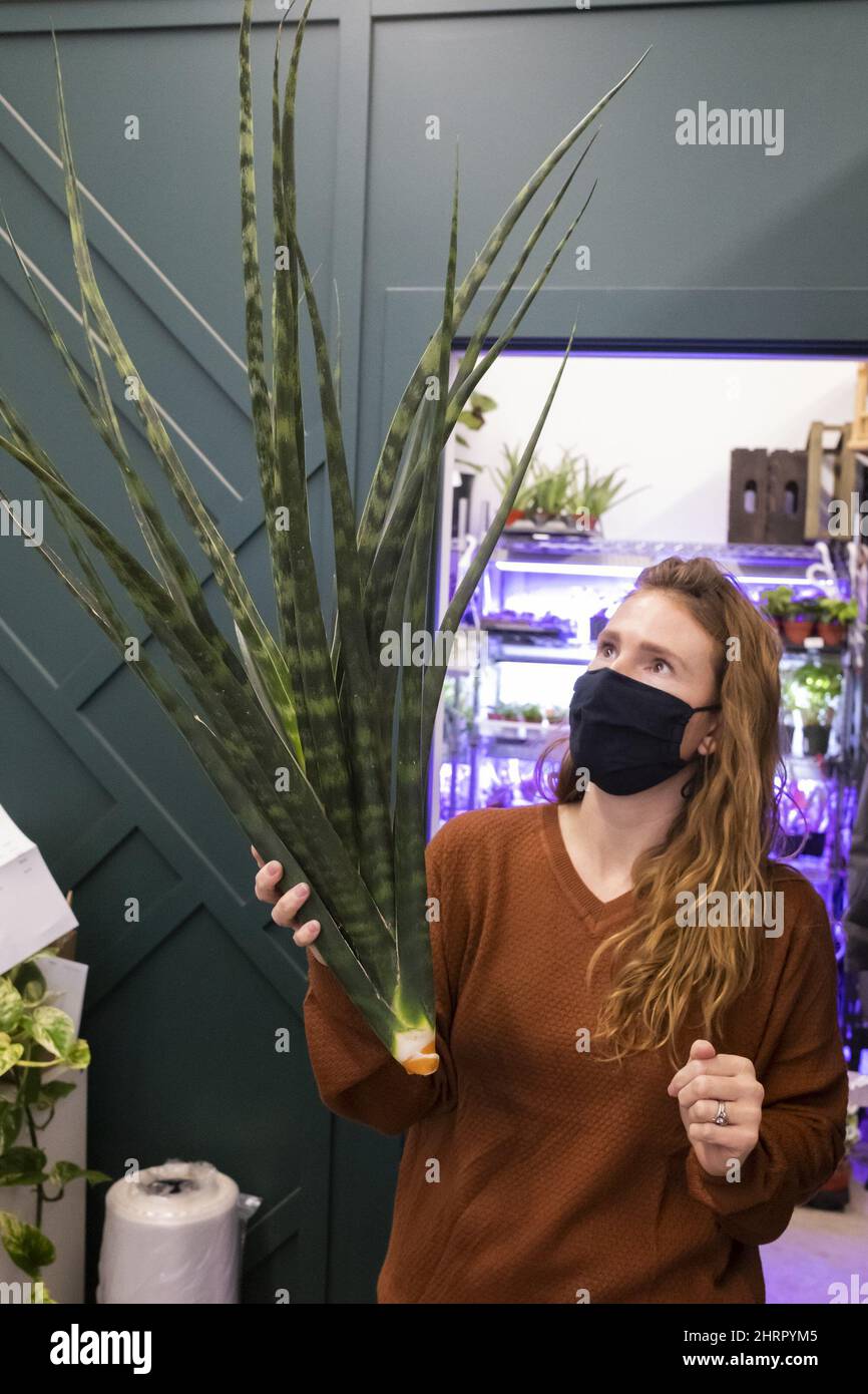 Kait Waugh holds a part of a snake plant at her store called the Fat ...