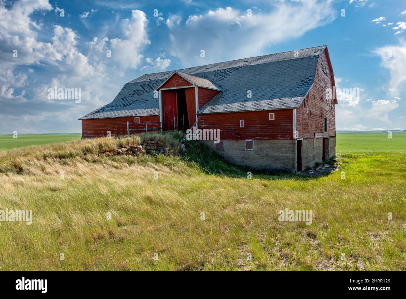 An abandoned red basement or bank barn on the prairies in Saskatchewan ...