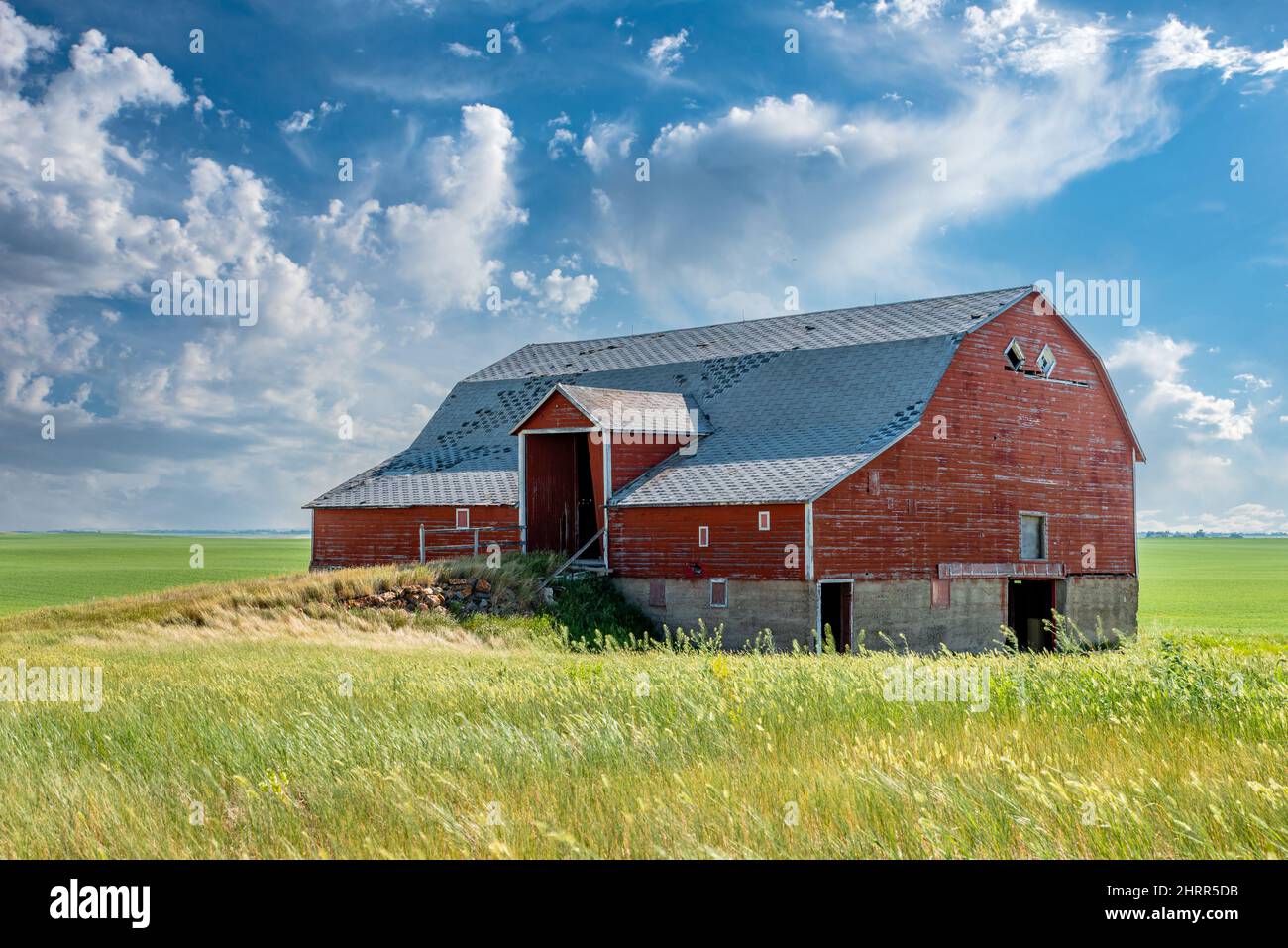 An abandoned red basement or bank barn on the prairies in Saskatchewan ...