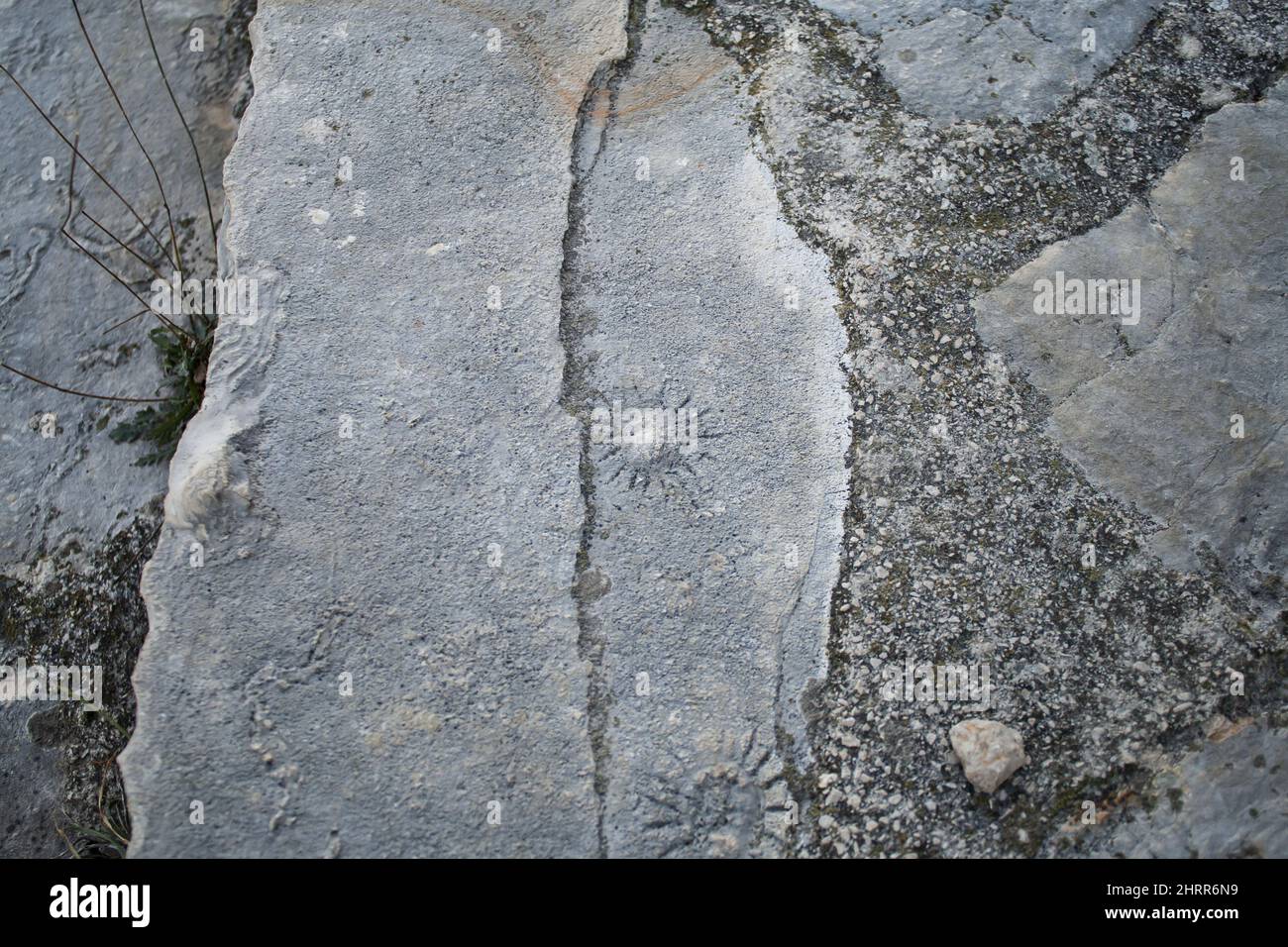 Flagstone path construction hi-res stock photography and images - Alamy