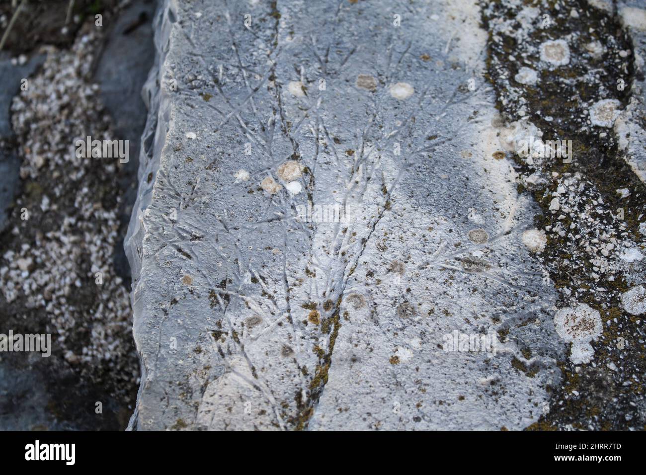 Flagstone path construction hi-res stock photography and images - Alamy