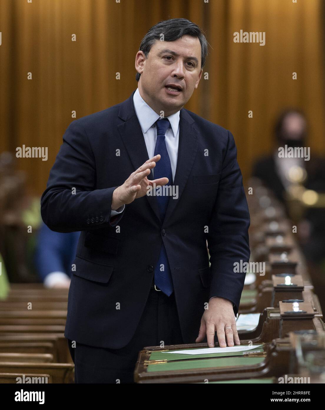 Conservative MP Michael Chong rises during Question Period in the House ...