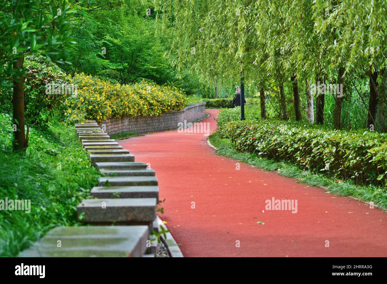 Red pathway in the park with beautiful dense greenery on a gloomy day ...