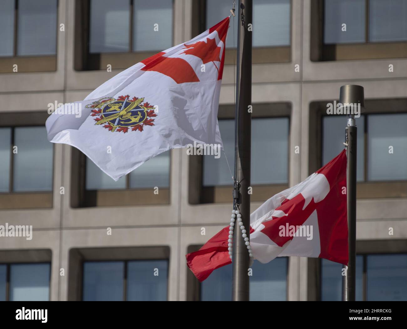 The Canadian Forces flag flies outside office buildings in Ottawa ...
