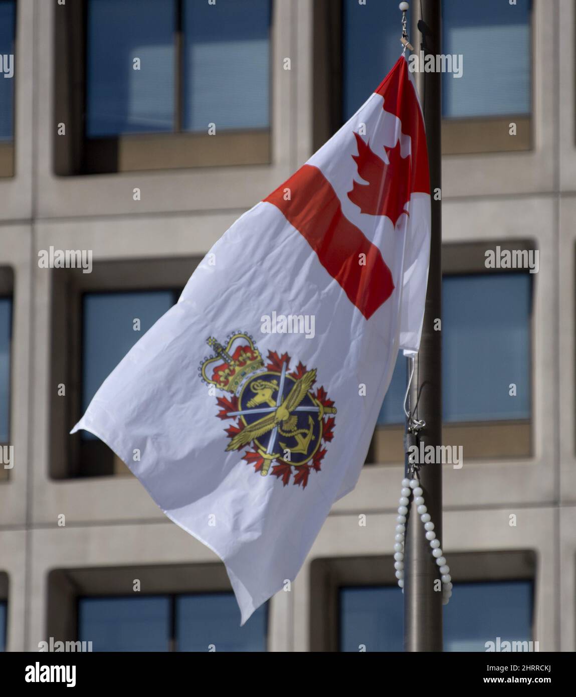 The Canadian Forces flag flies outside office buildings in Ottawa ...