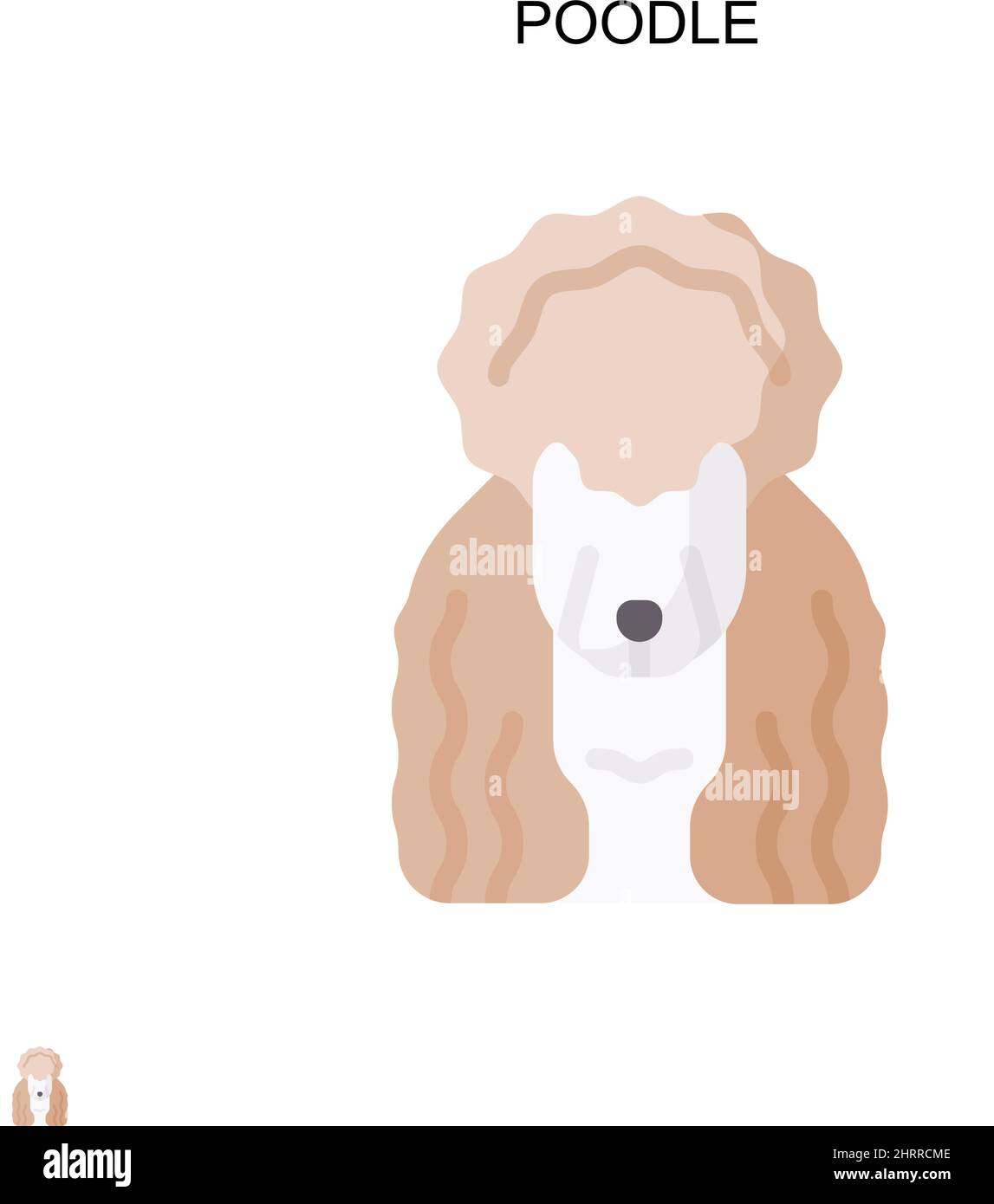 Poodle Simple vector icon. Illustration symbol design template for web ...