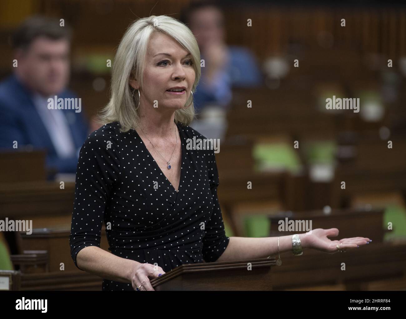 Conservative Deputy leader Candice Bergen rises during Question Period ...