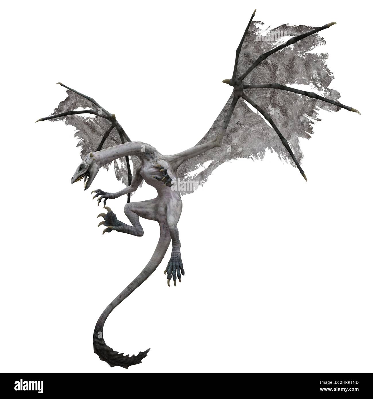 3D illustration fantasy flying dragon isolated on white Stock Photo - Alamy