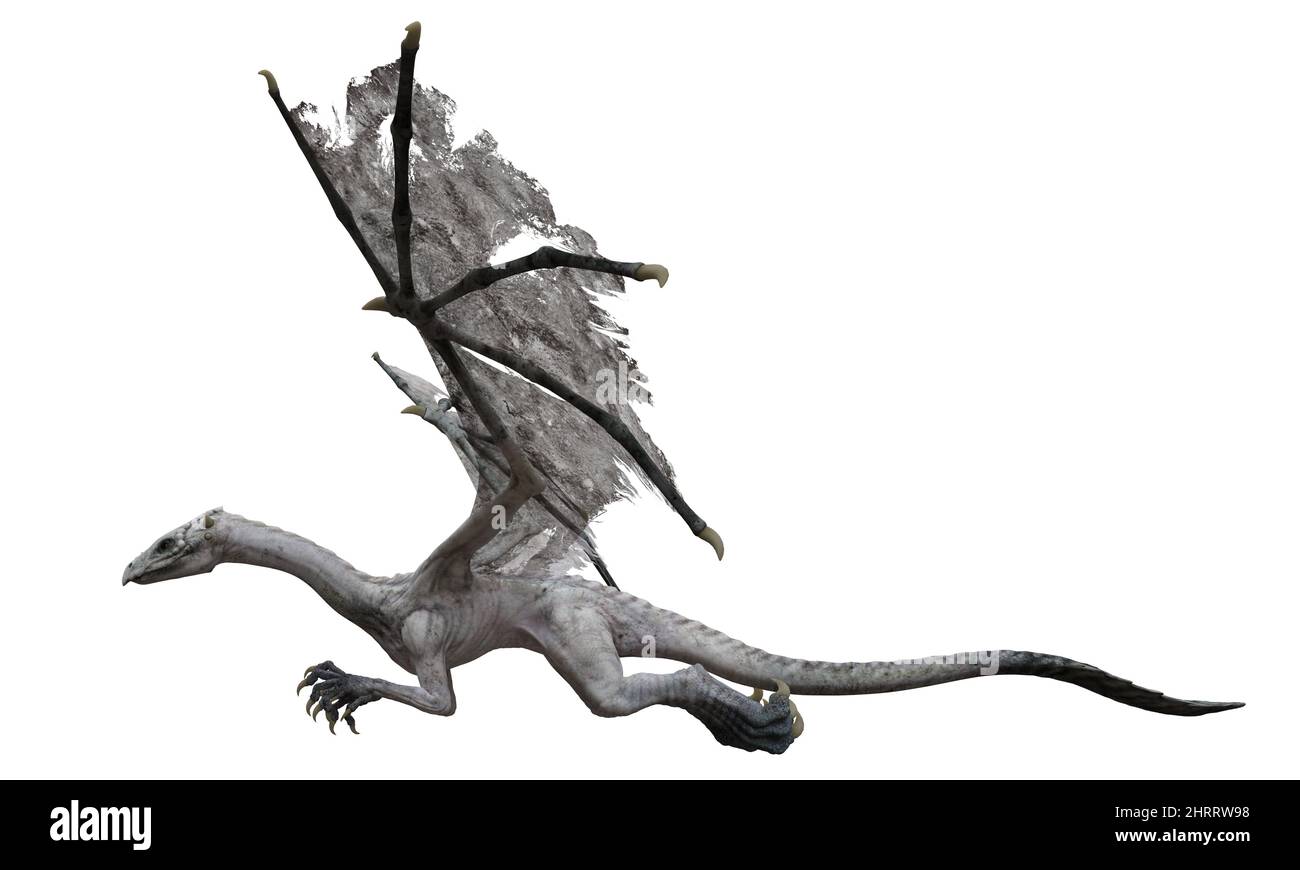 3D illustration fantasy flying dragon isolated on white Stock Photo - Alamy