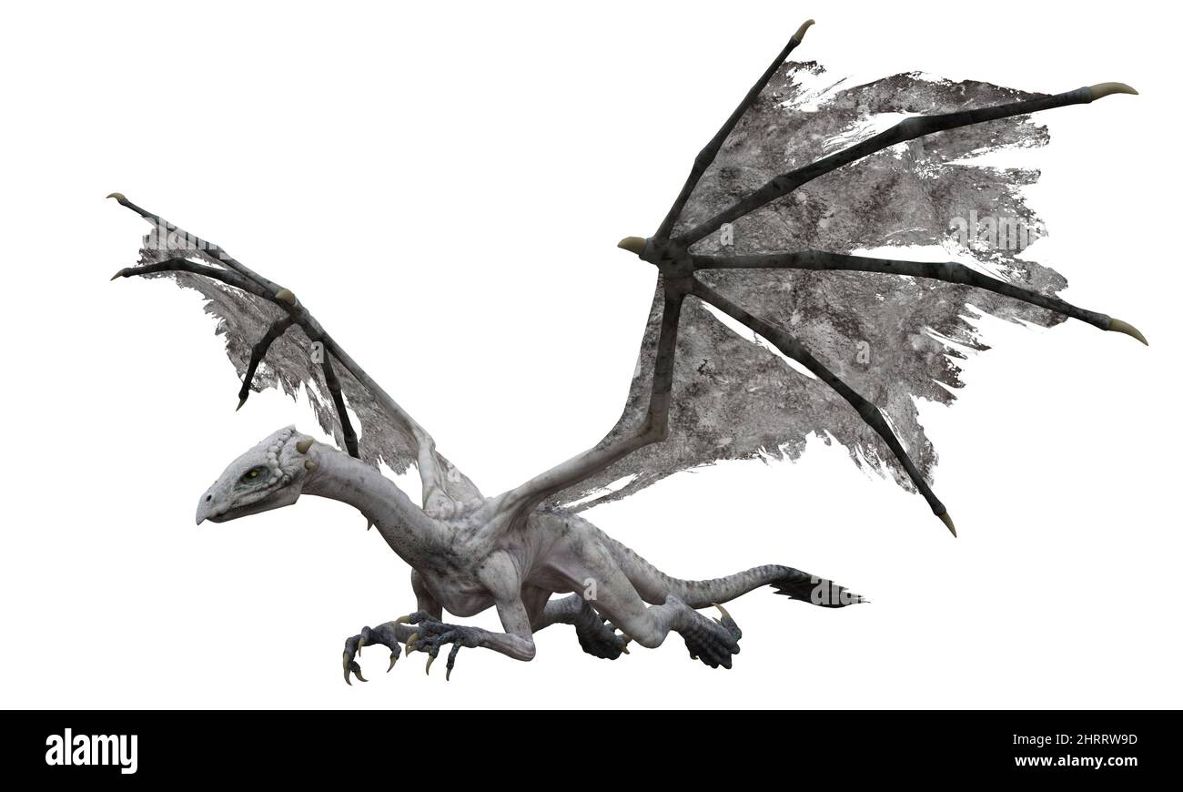 3D illustration fantasy flying dragon isolated on white Stock Photo - Alamy