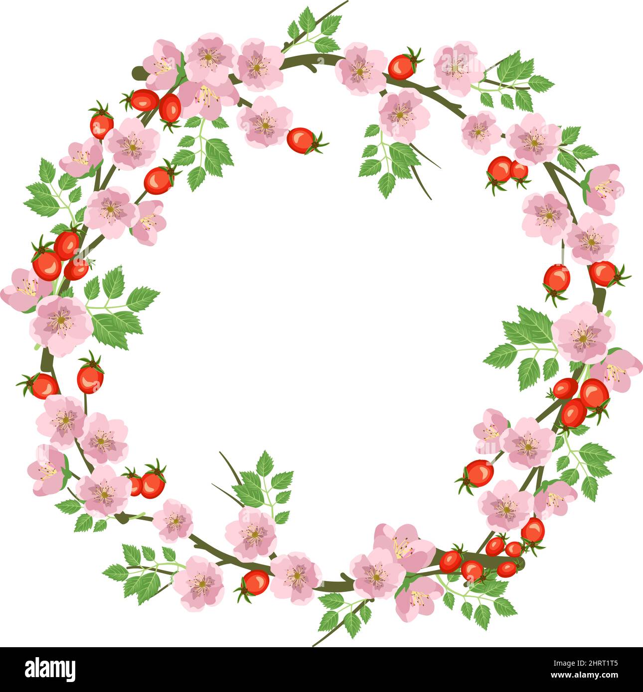 Rosehip wreath. Round frame, cute pink flowers rose red fruits and ...