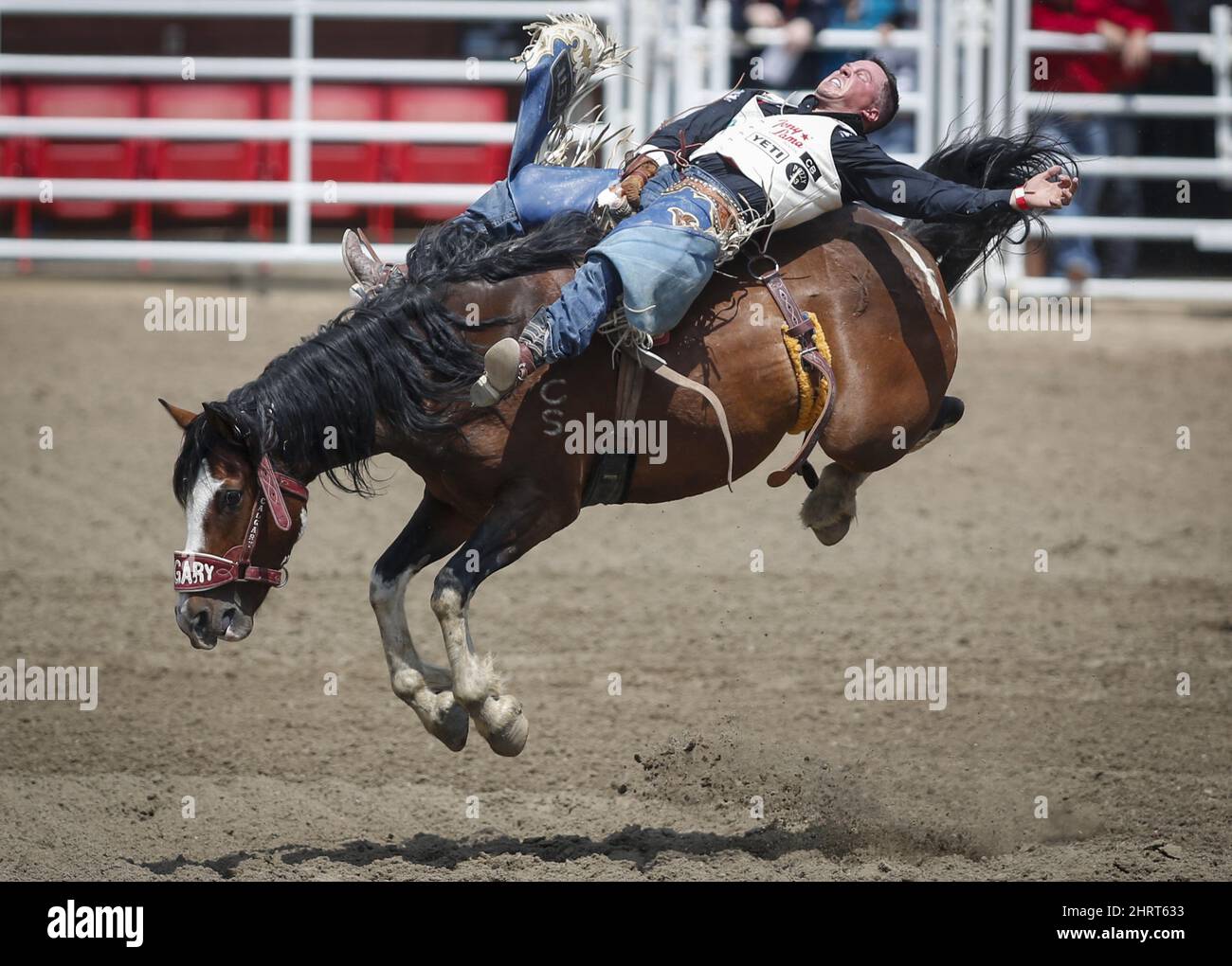 Richmond Champion, of Stevensville, Montana, rides Yipee Kibitz in the ...