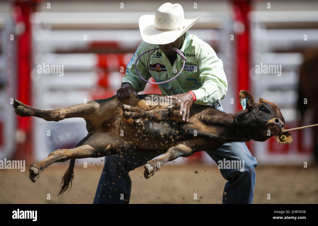 Cory Solomon, of Prairie View, Texas, competes in the tie-down roping ...