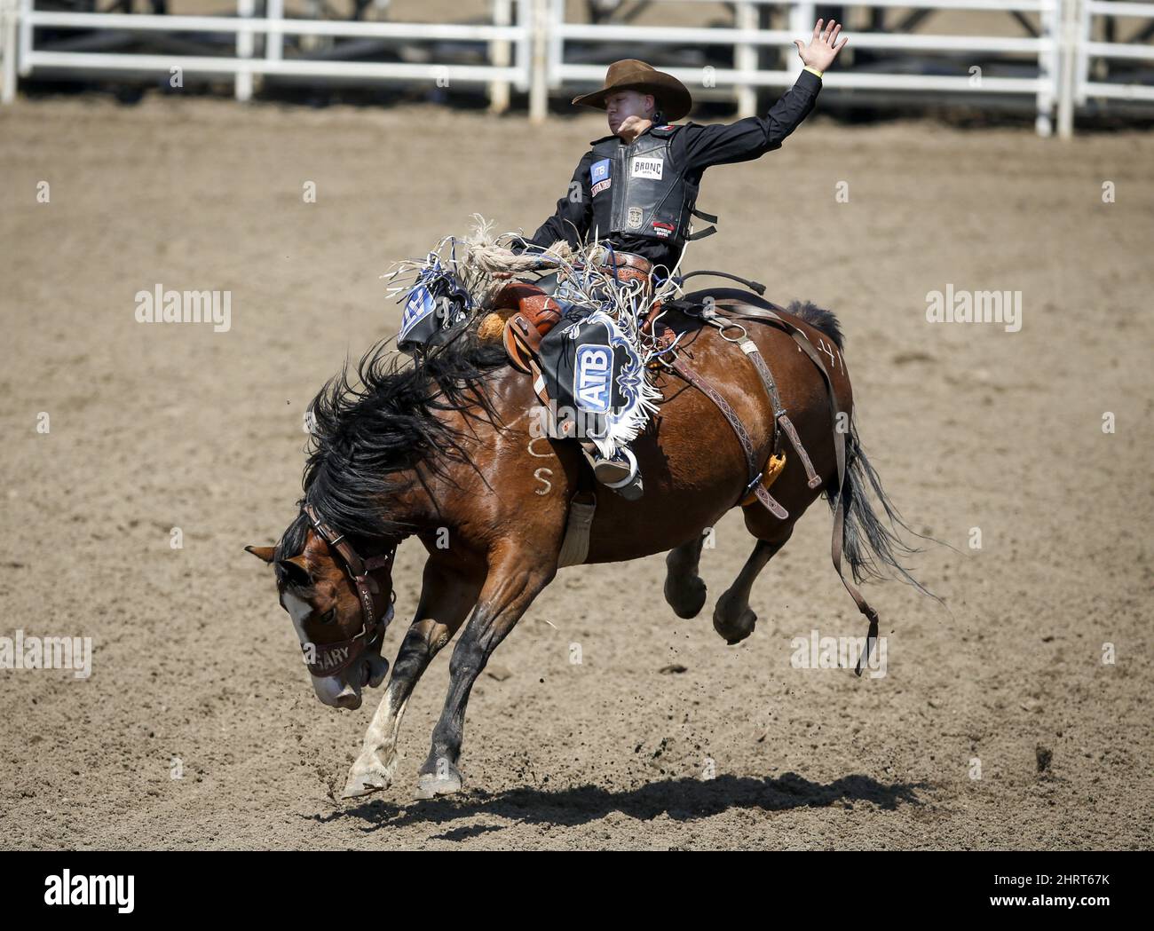 Zeke Thurston, of Big Valley, Alta., rides Art Walls during saddle ...