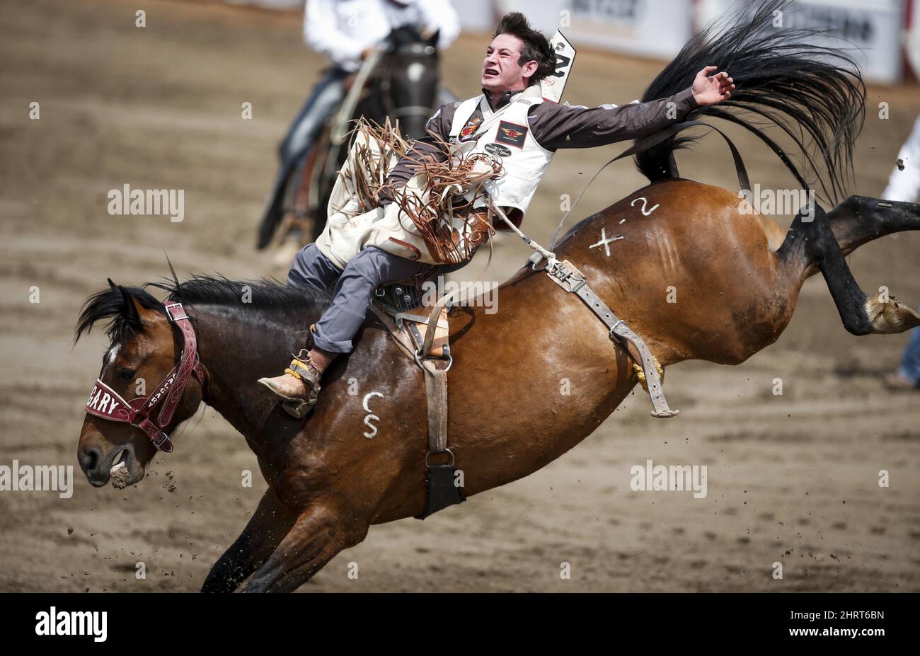 Cole Franks, of Clarendon, Texas, rides Xrated Dancer during bareback ...