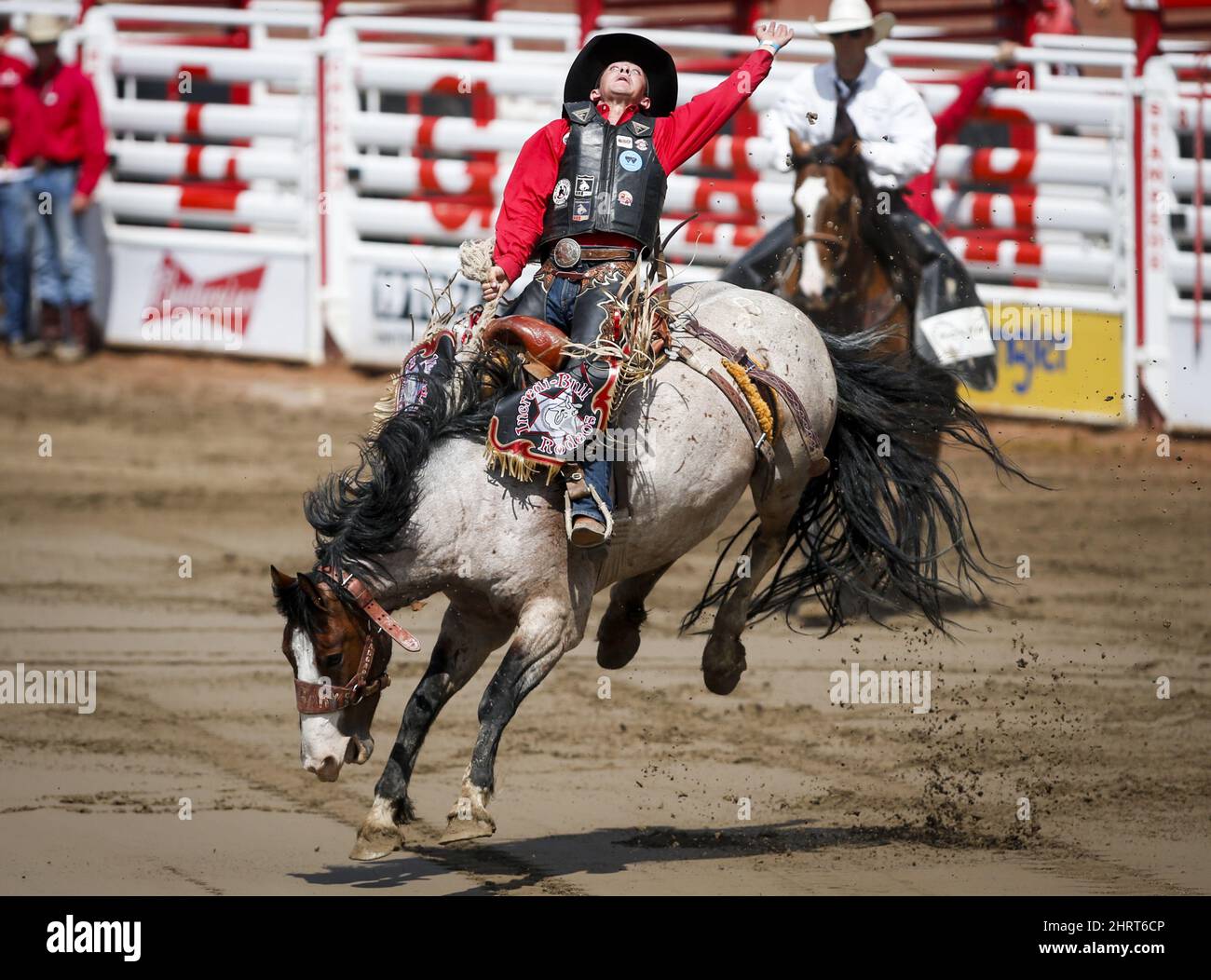 Kolby Wanchuk, of Sherwood Park, Alta., rides Breaking Acres during ...