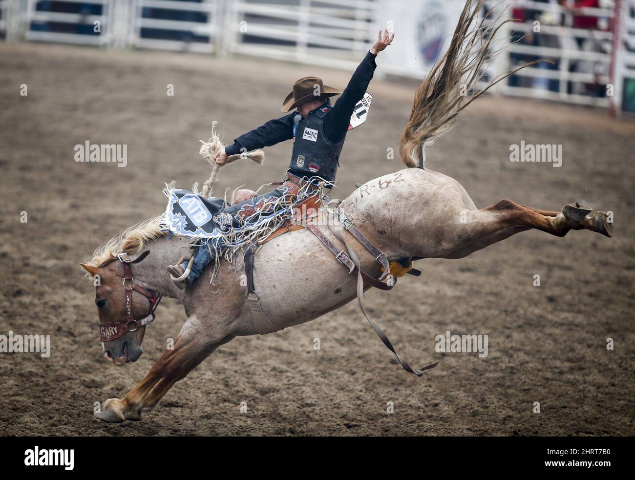 Zeke Thurston, of Big Valley, Alta., rides Redon Acres during saddle ...