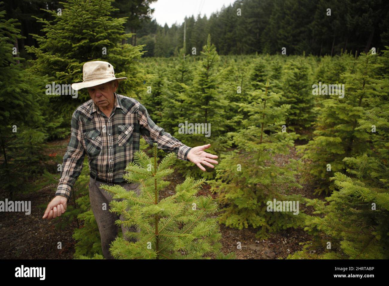 Sahtlam Tree Farm owner Robert Russell is photographed on his property ...