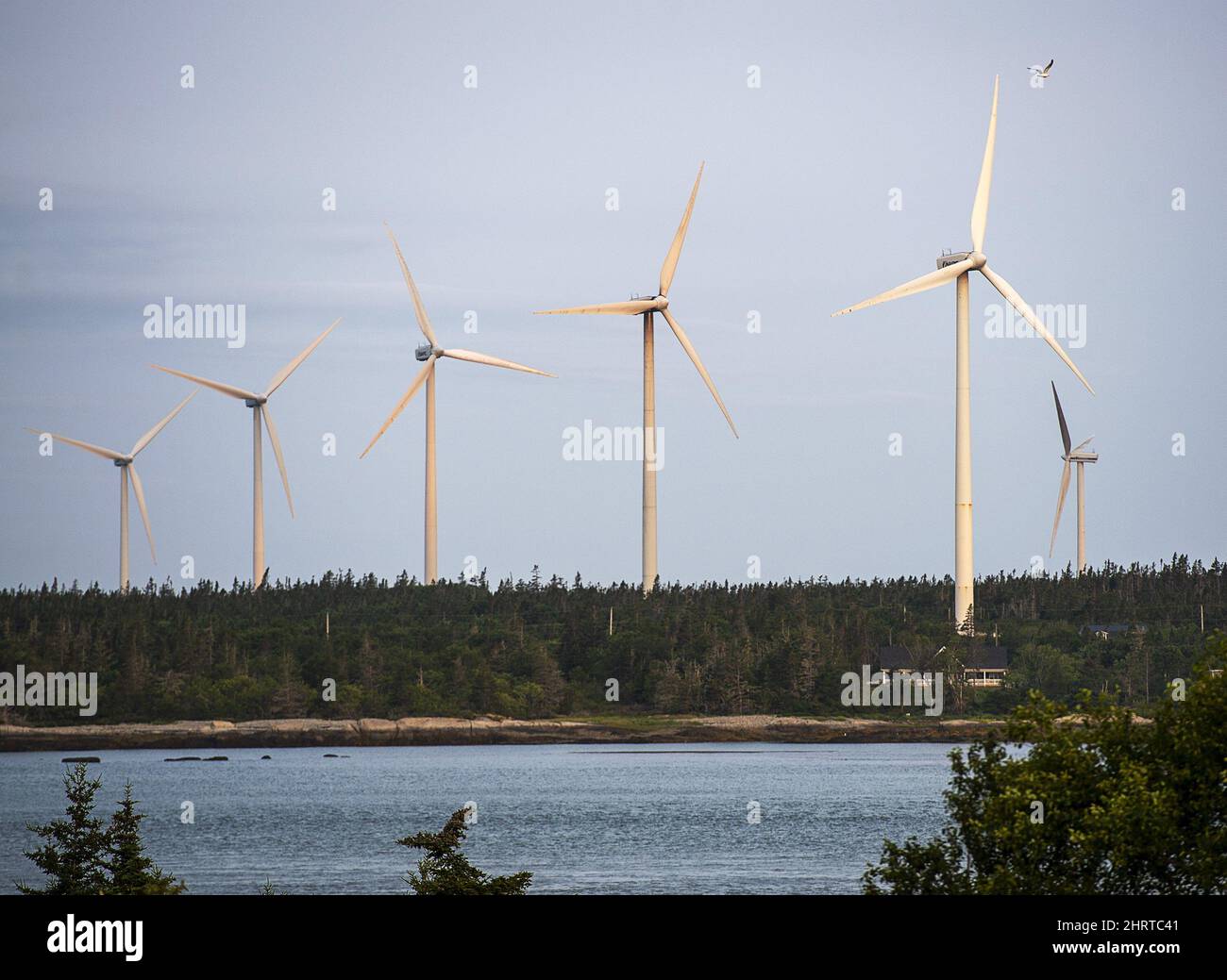 The West Pubnico Point Wind Farm is seen in Lower West Pubnico, N.S. on ...