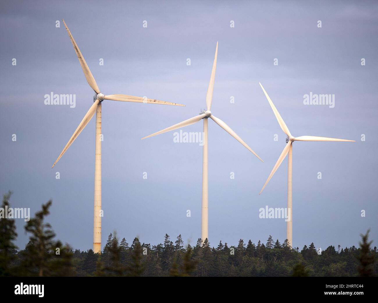 The West Pubnico Point Wind Farm is seen in Lower West Pubnico, N.S. on ...