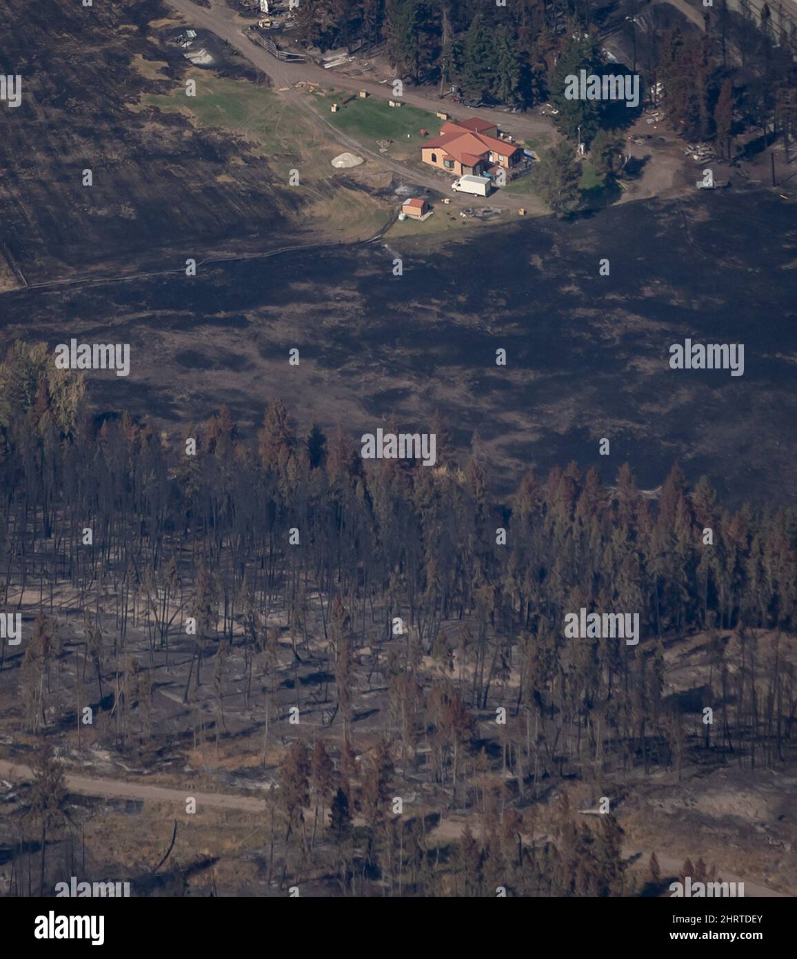 A house remains standing in an area of Monte Lake affected by the White ...
