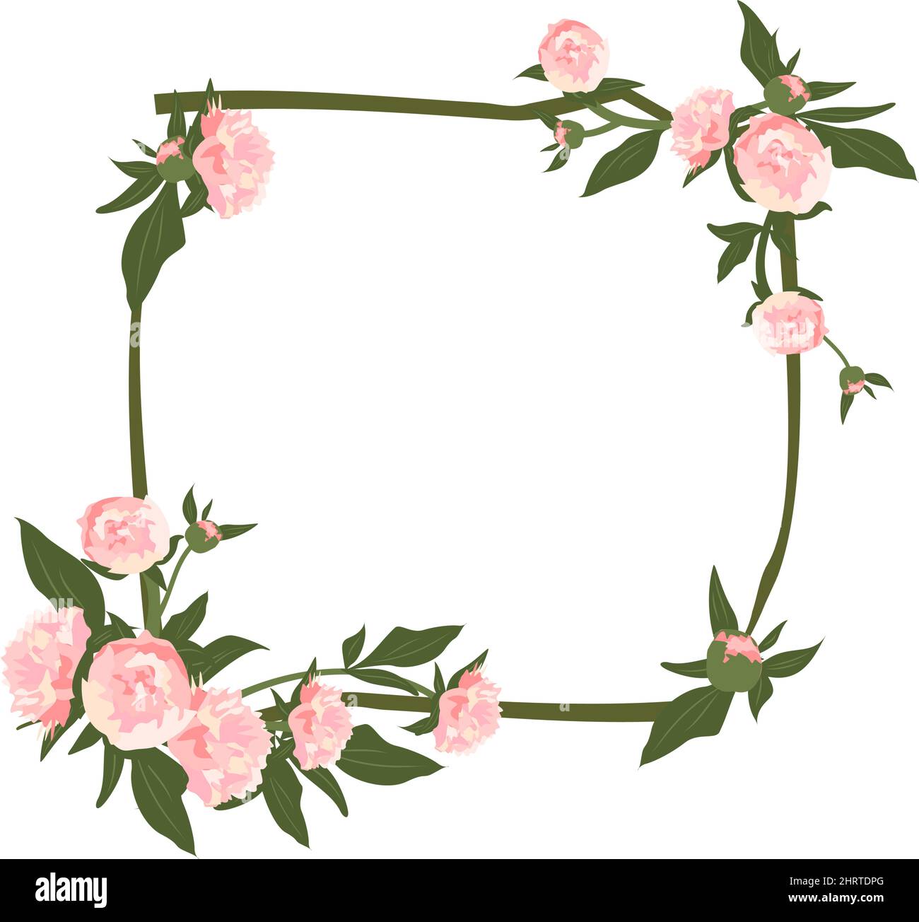 Peony frame hi-res stock photography and images - Alamy