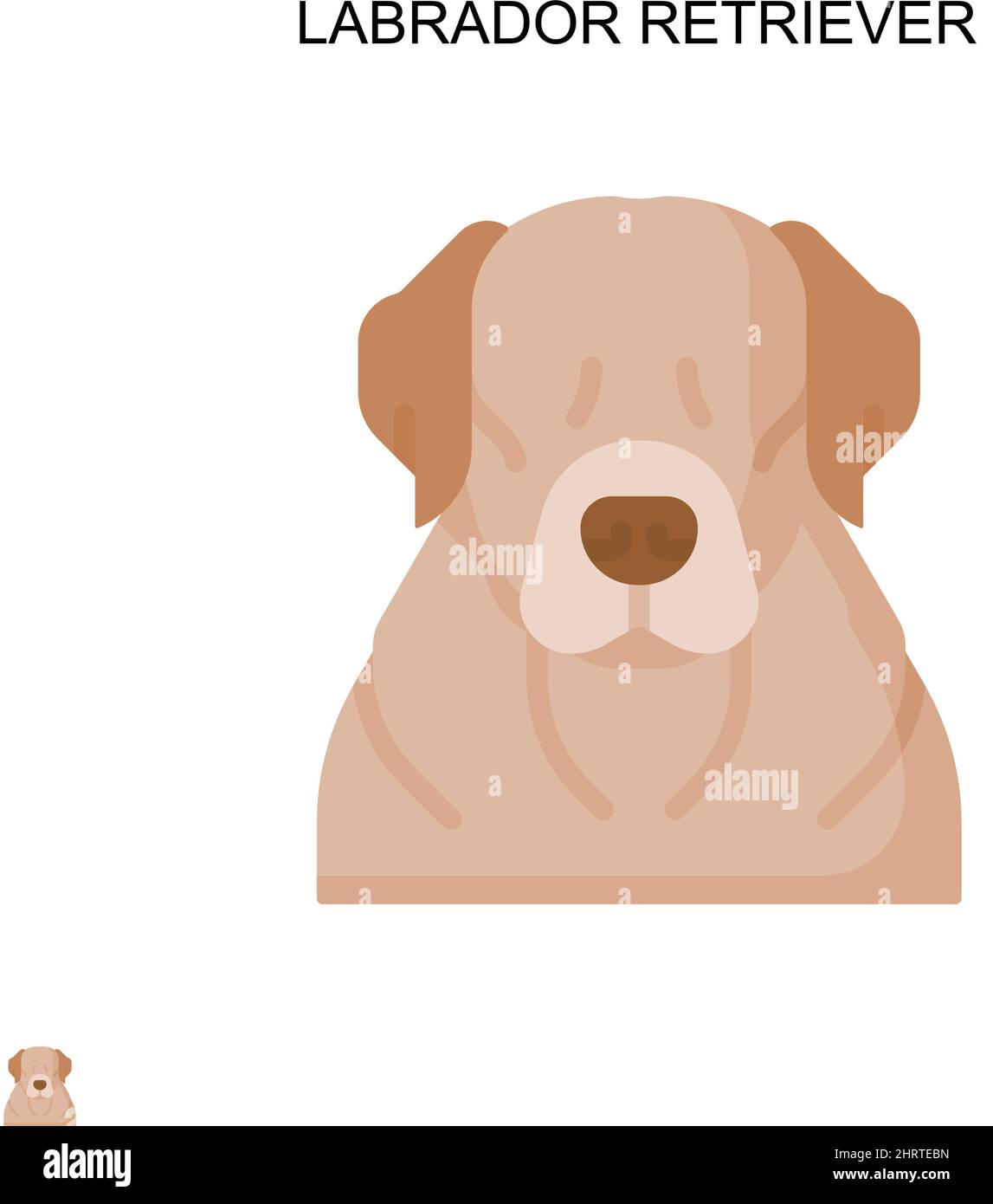 Labrador retriever Simple vector icon. Illustration symbol design ...