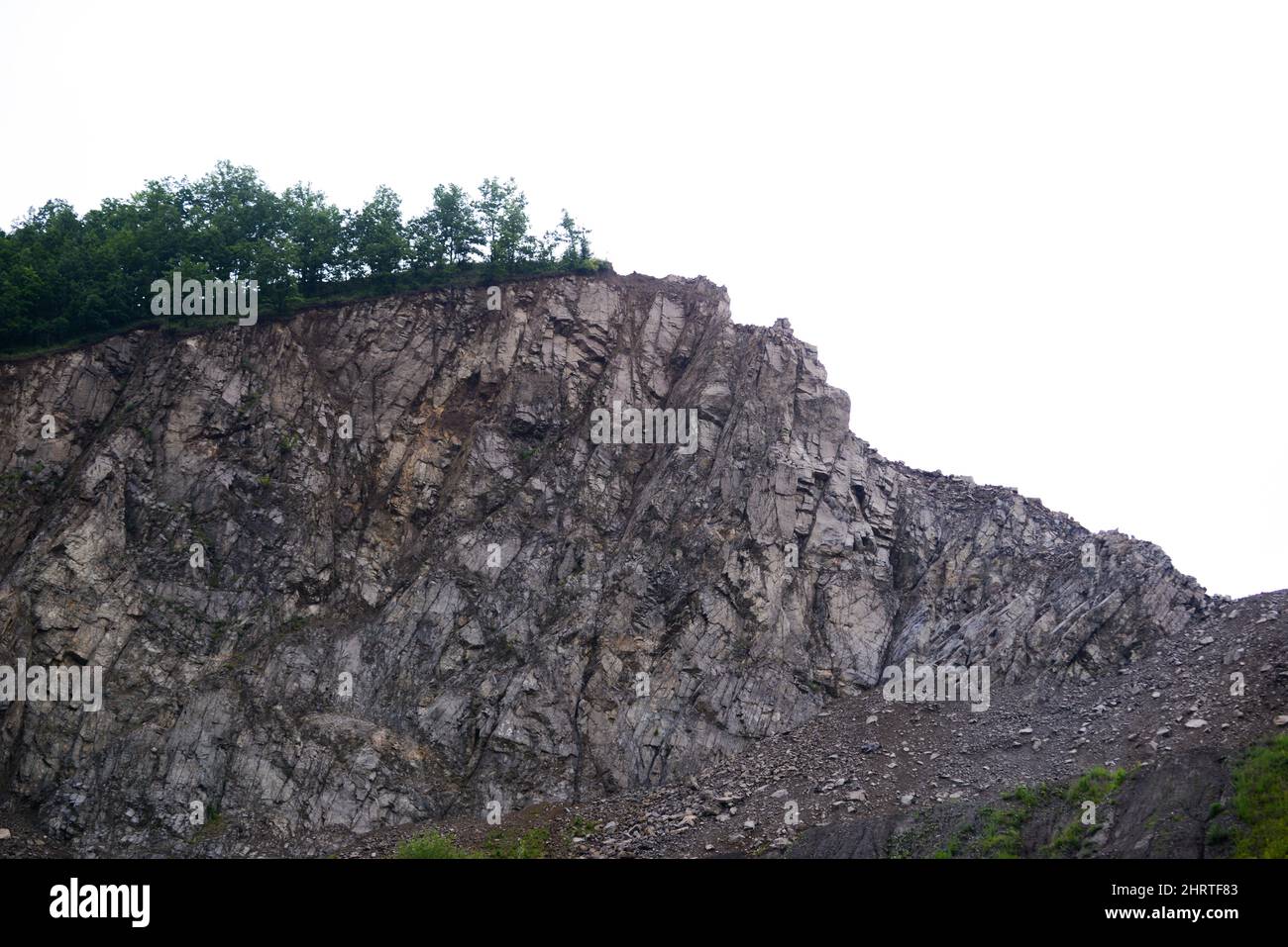 Low angle shot of a rocky cliff with a rare forest on top of it Stock ...