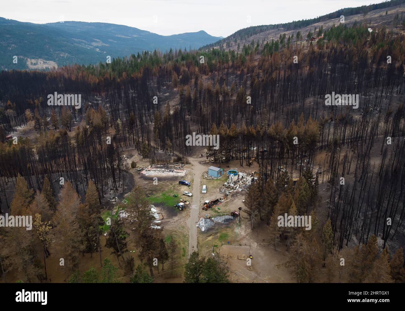 Burnt trees and a property with structures that were destroyed by the ...