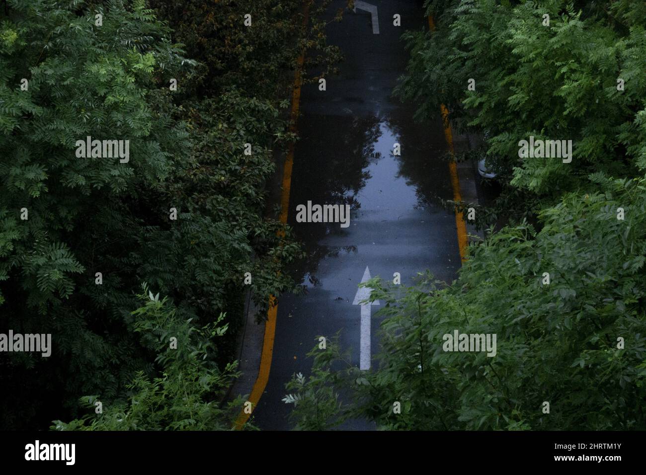 Top view of a road after the rain Stock Photo - Alamy
